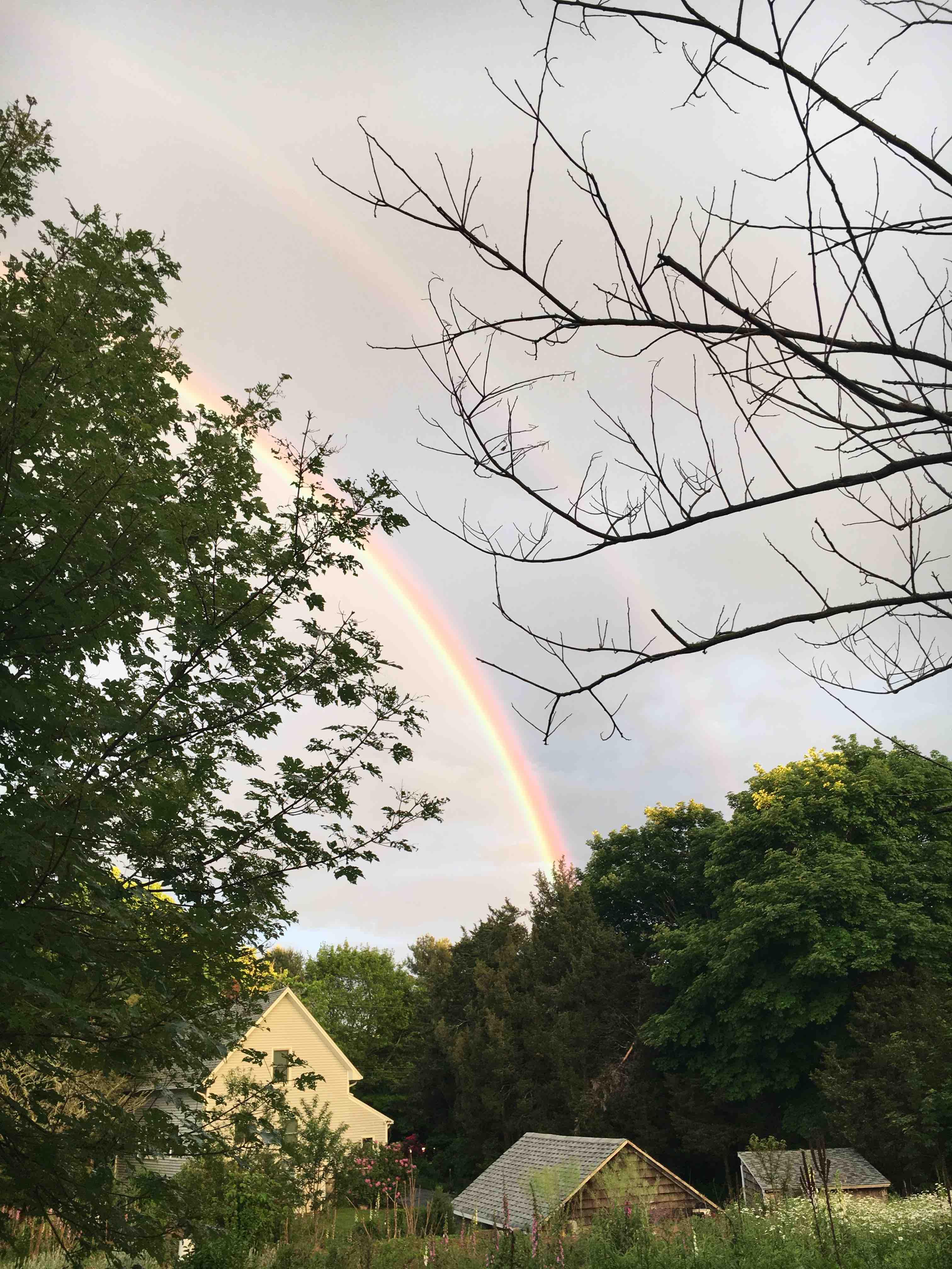 Just discovered r/rainbow! | Scrolller