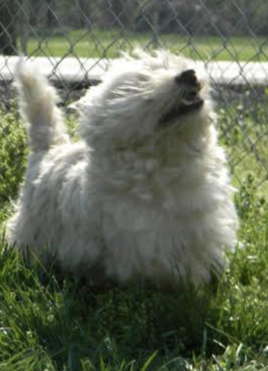 Just enjoying the breeze | Scrolller