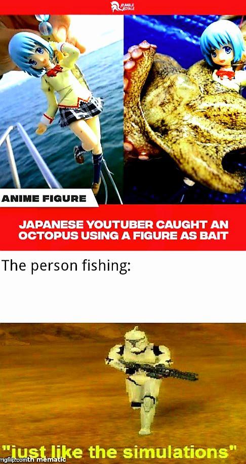 Just like the simulations | Scrolller