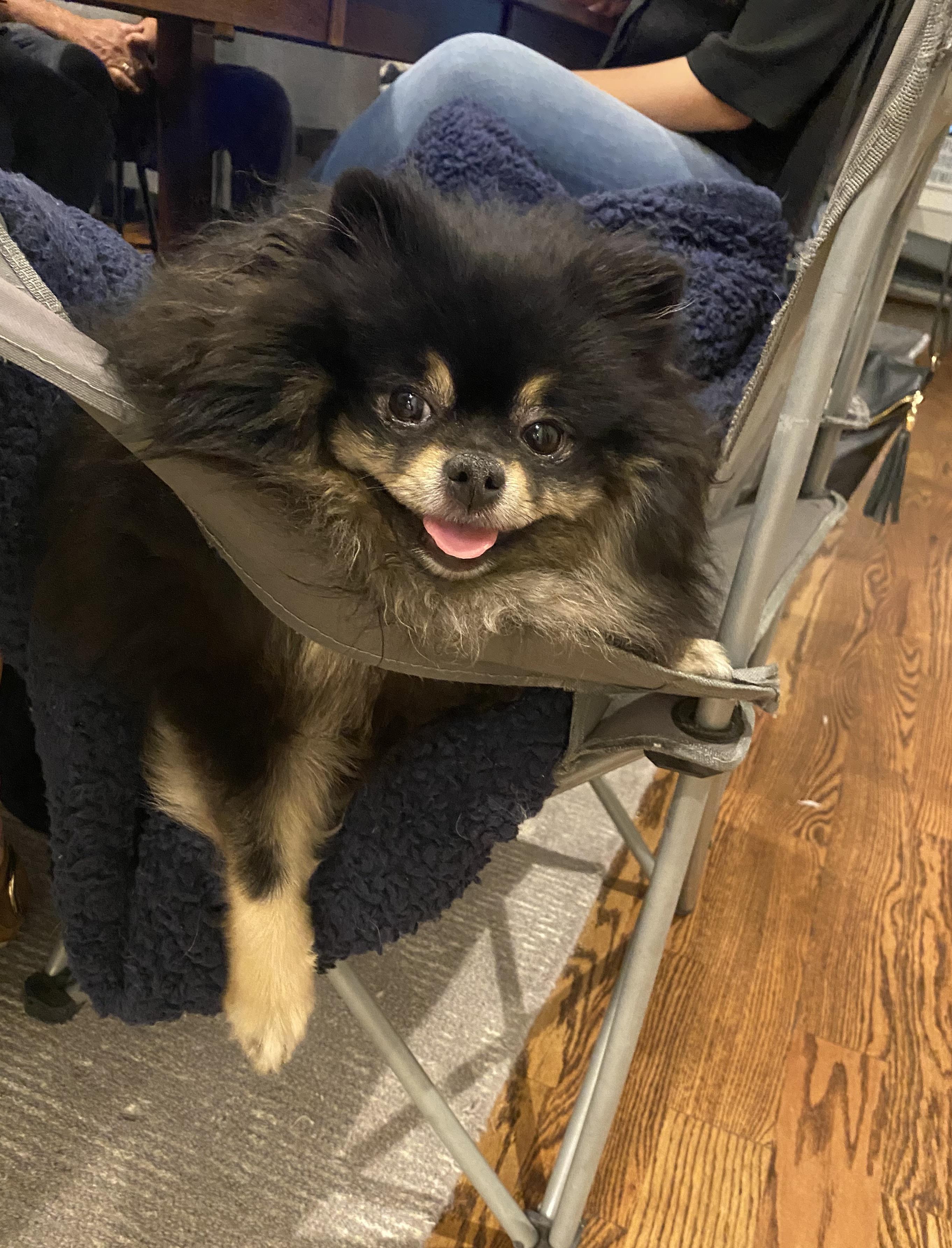 Just loungin around | Scrolller