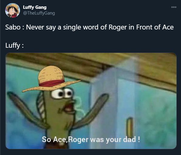 just luffy things | Scrolller