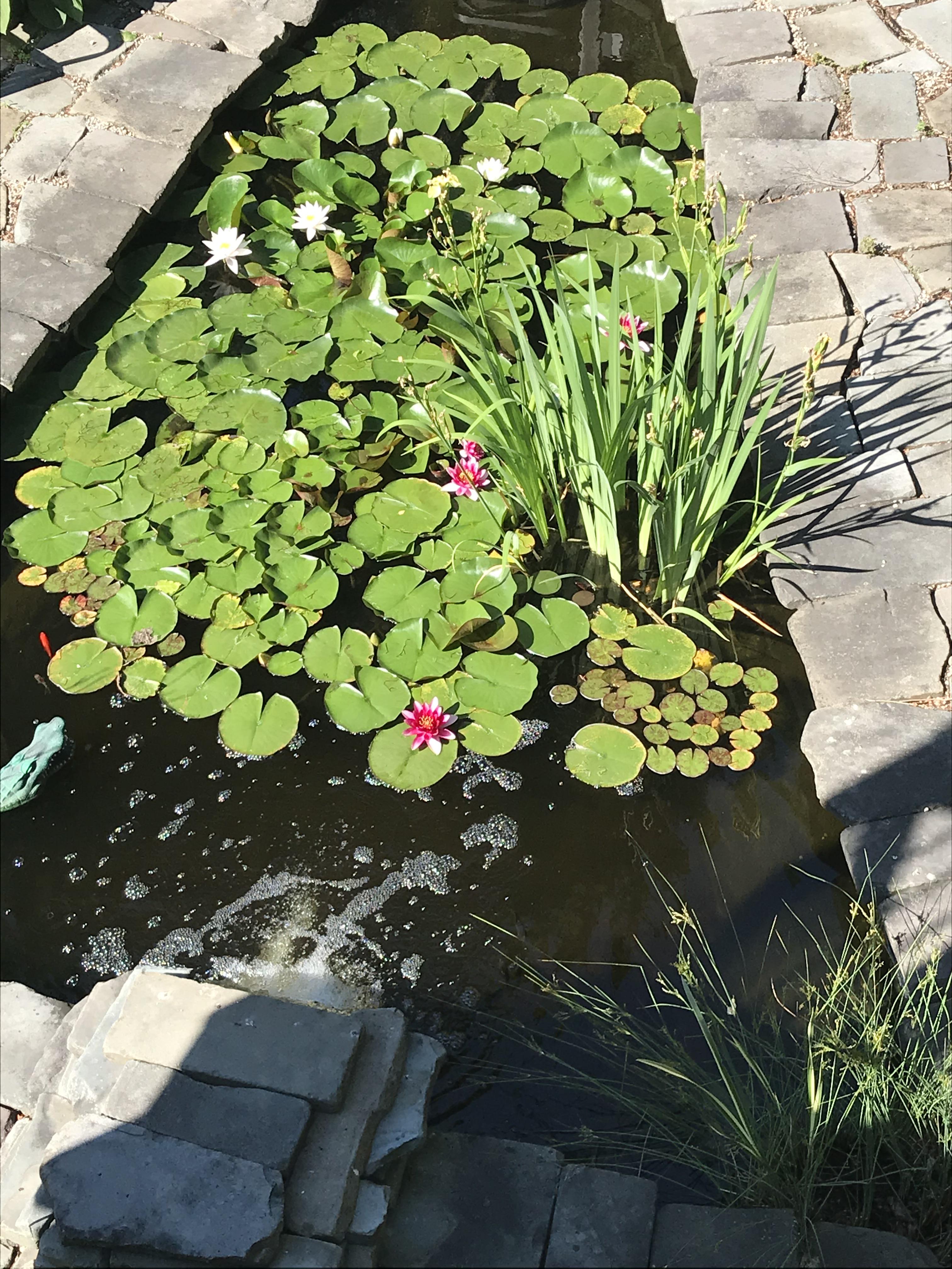 Just sharing | Scrolller