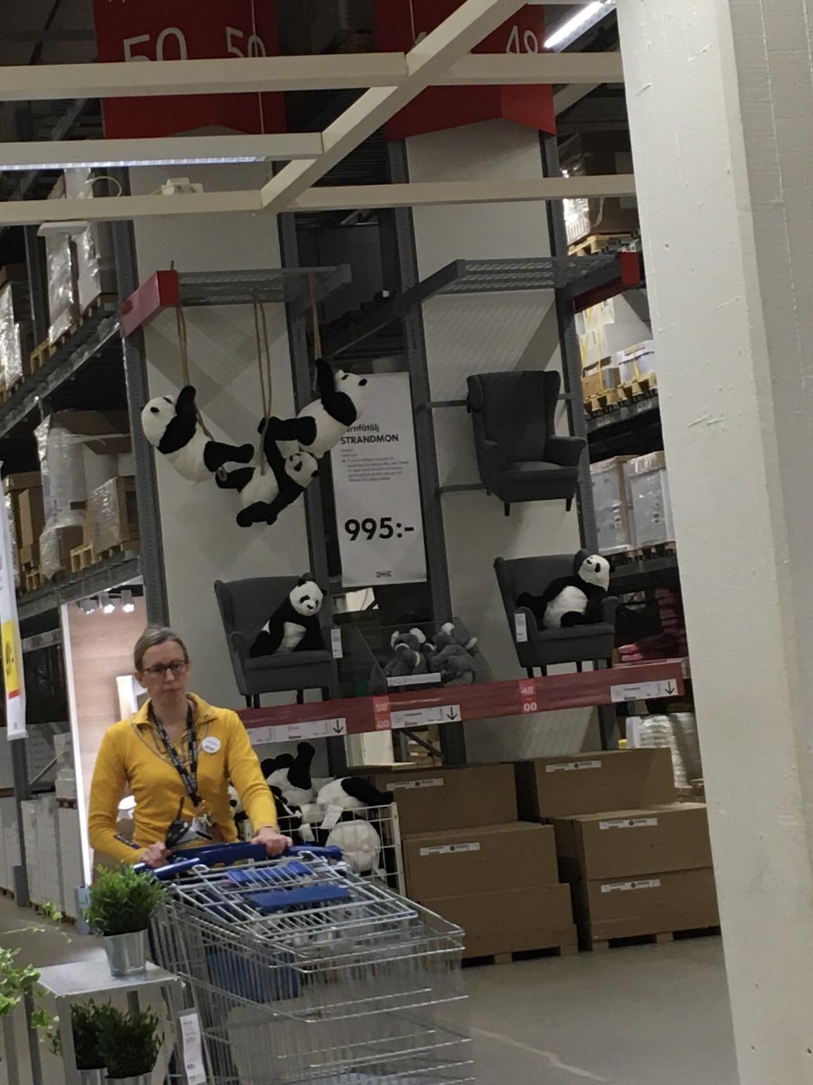 Just some pandas playing in IKEA | Scrolller