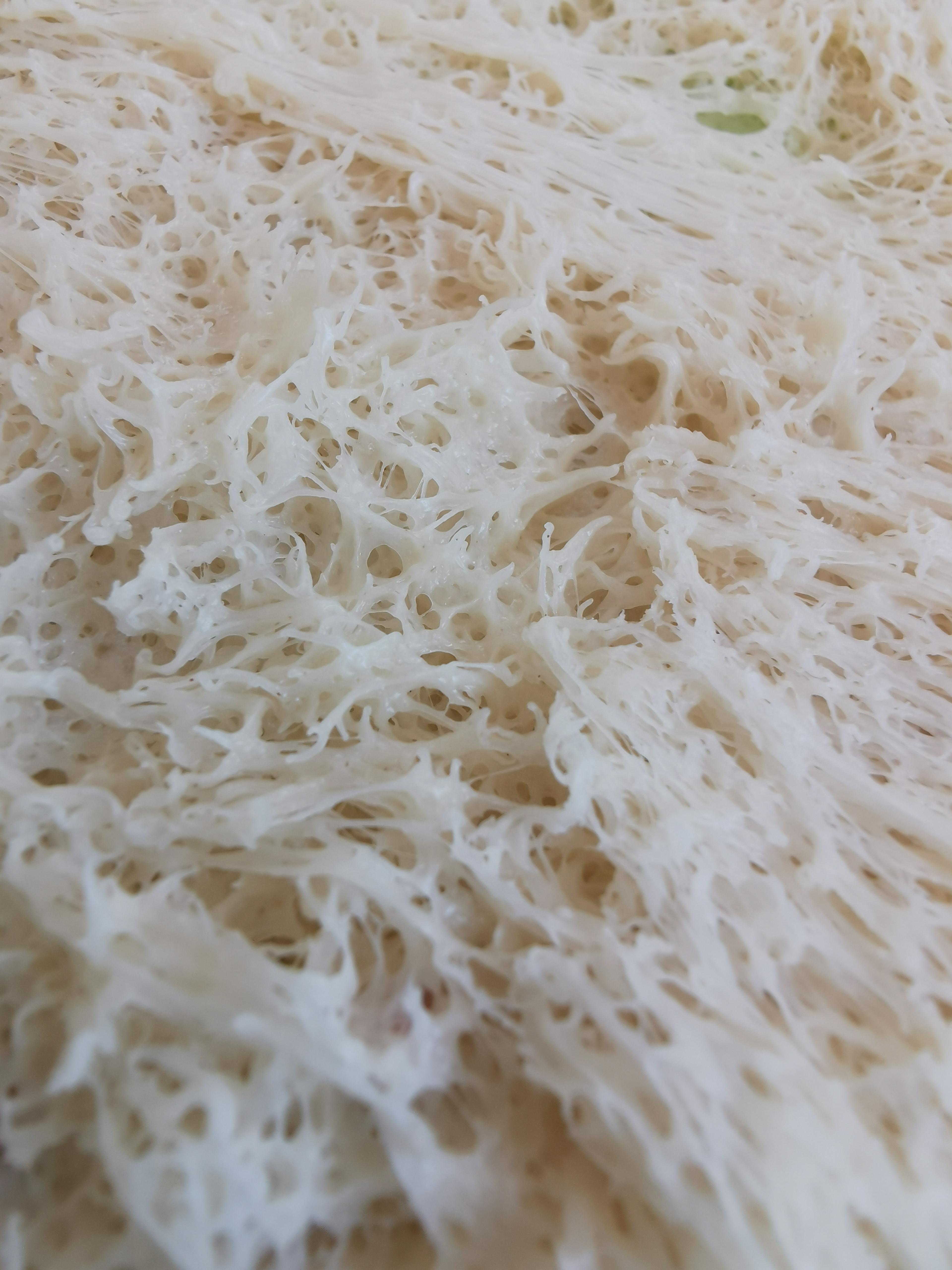 Just some sexy gluten | Scrolller