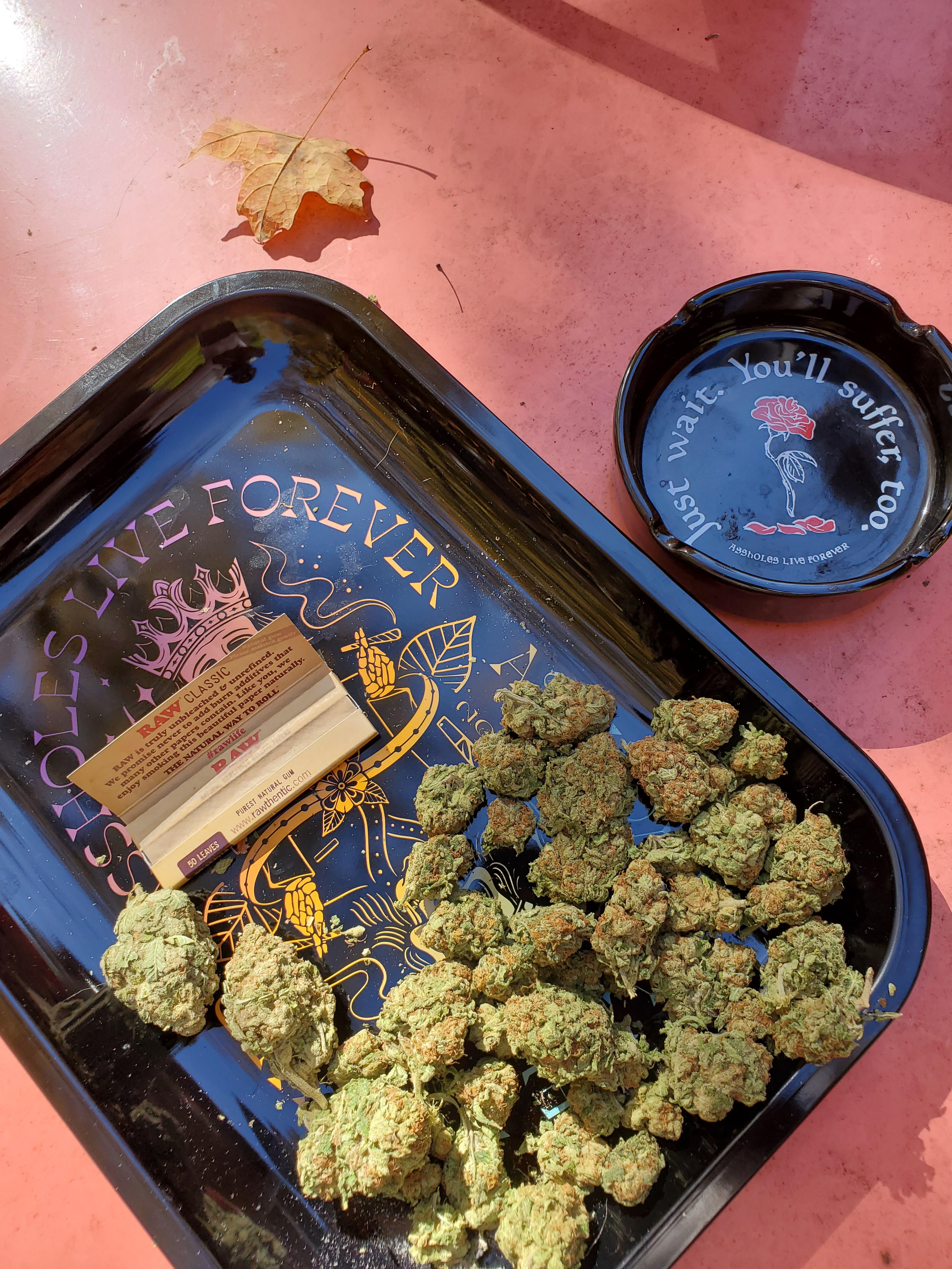 Just wait. You'll suffer too. | Scrolller