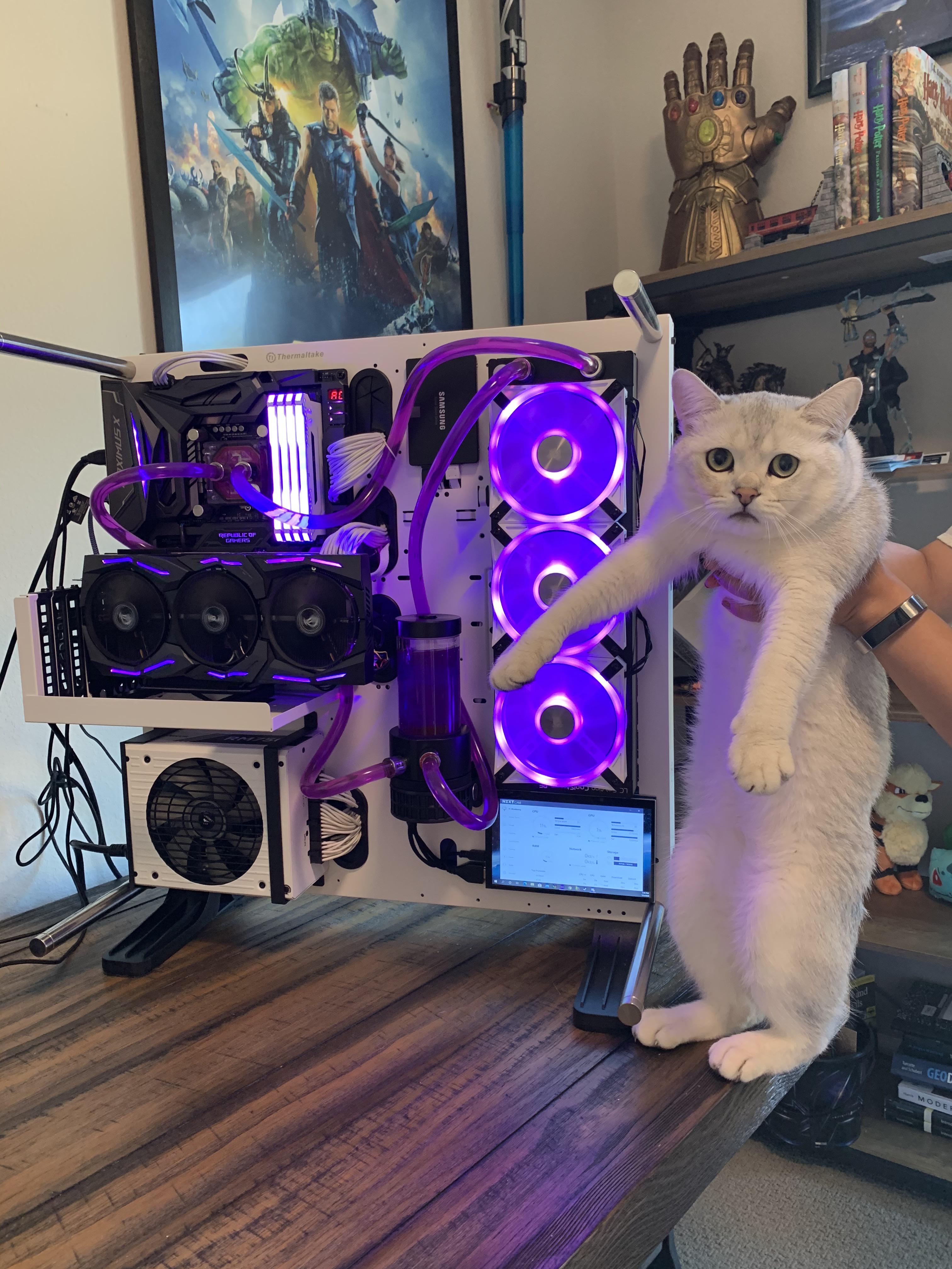 Karma Please | Scrolller