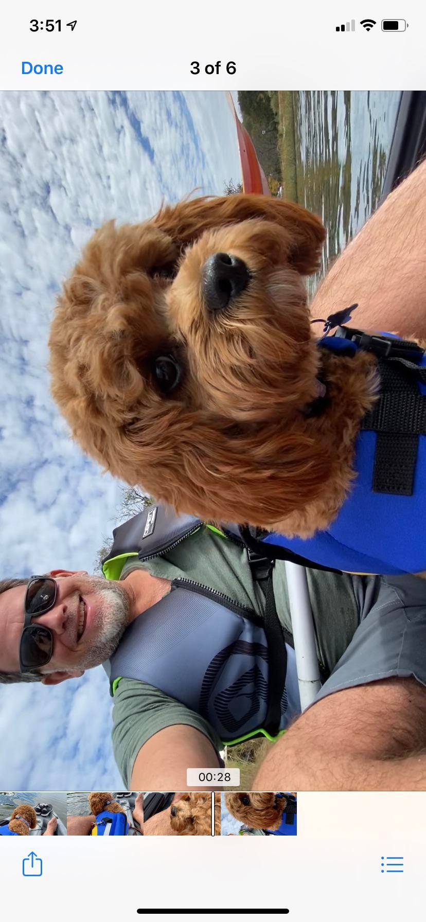 Kayak time with Coco - she’s a good co pilot | Scrolller