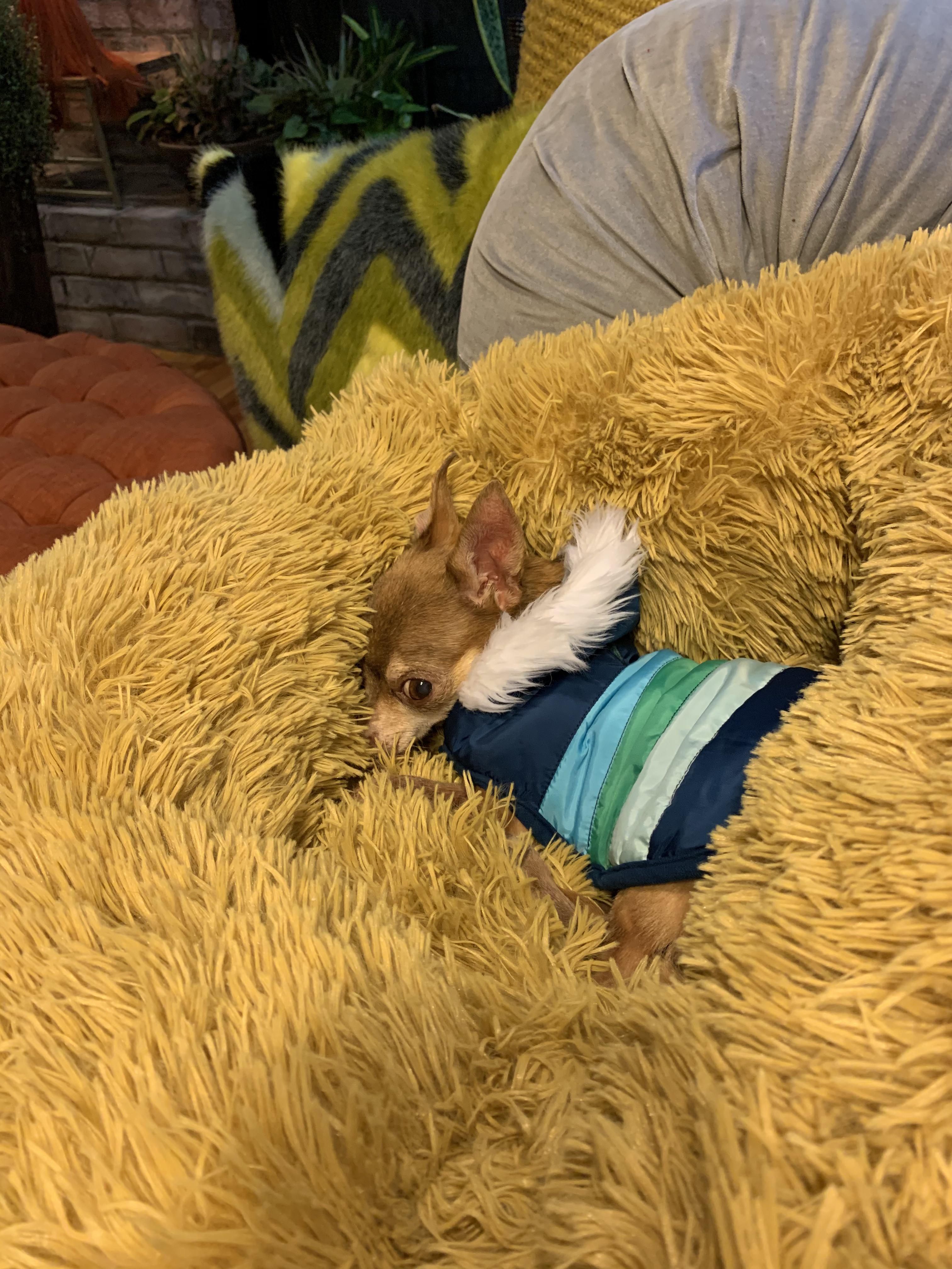 KC Kasemz hiding in his new puffer. | Scrolller