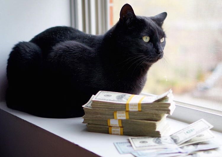 Keep it close | Scrolller