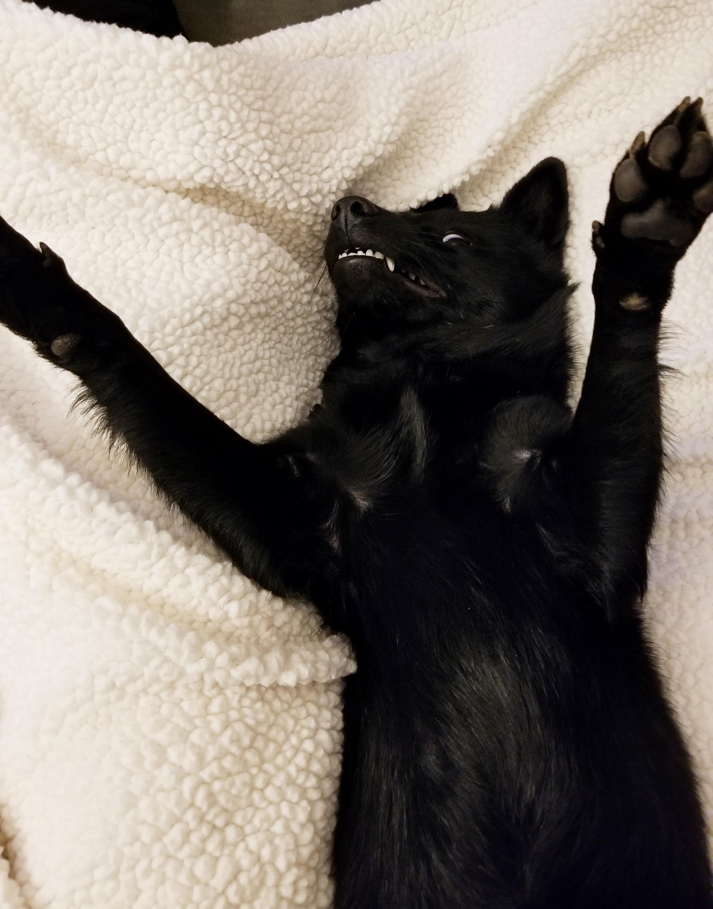 Keeping it real | Scrolller