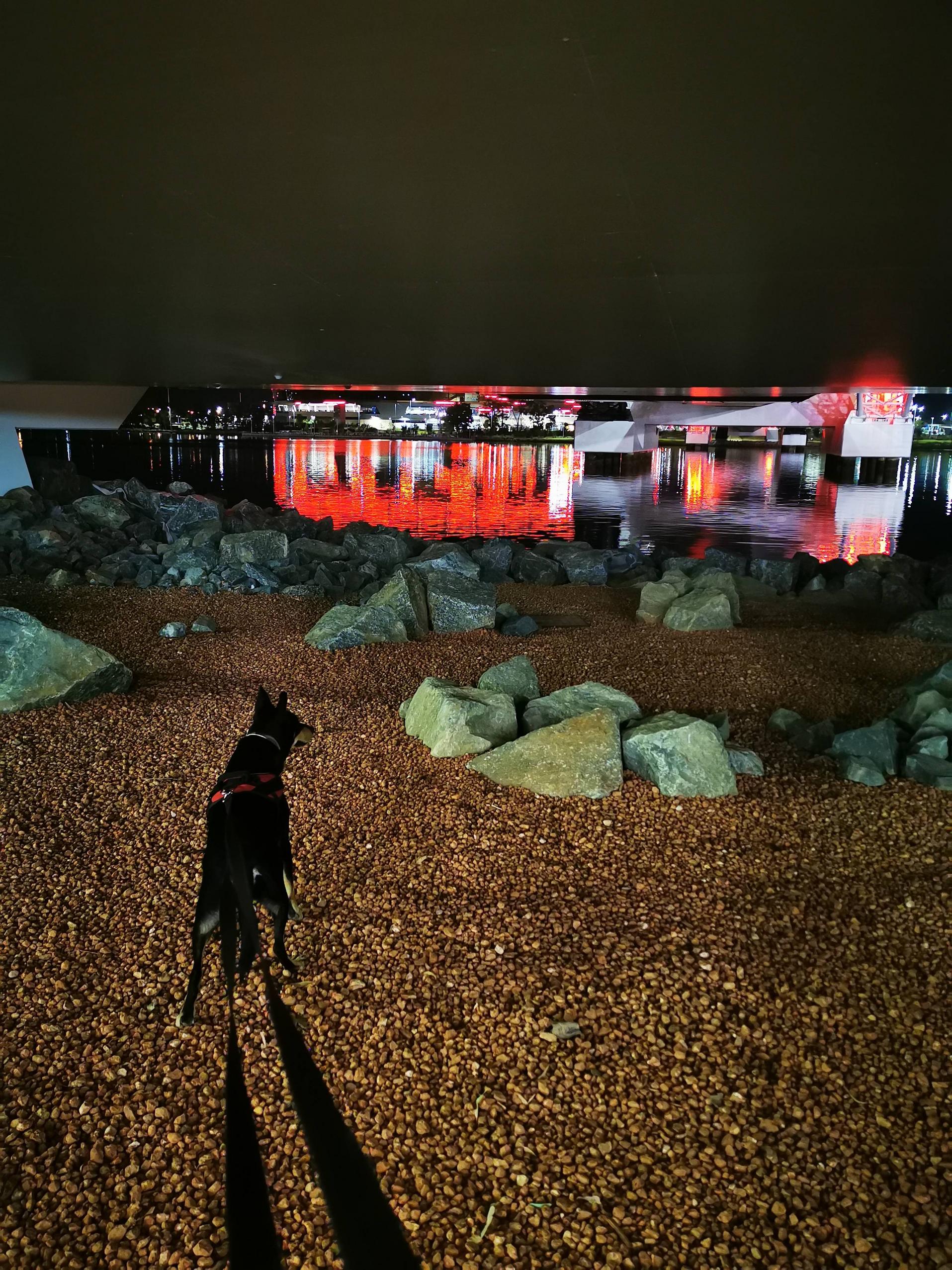 Kelpie in her Cave opening | Scrolller