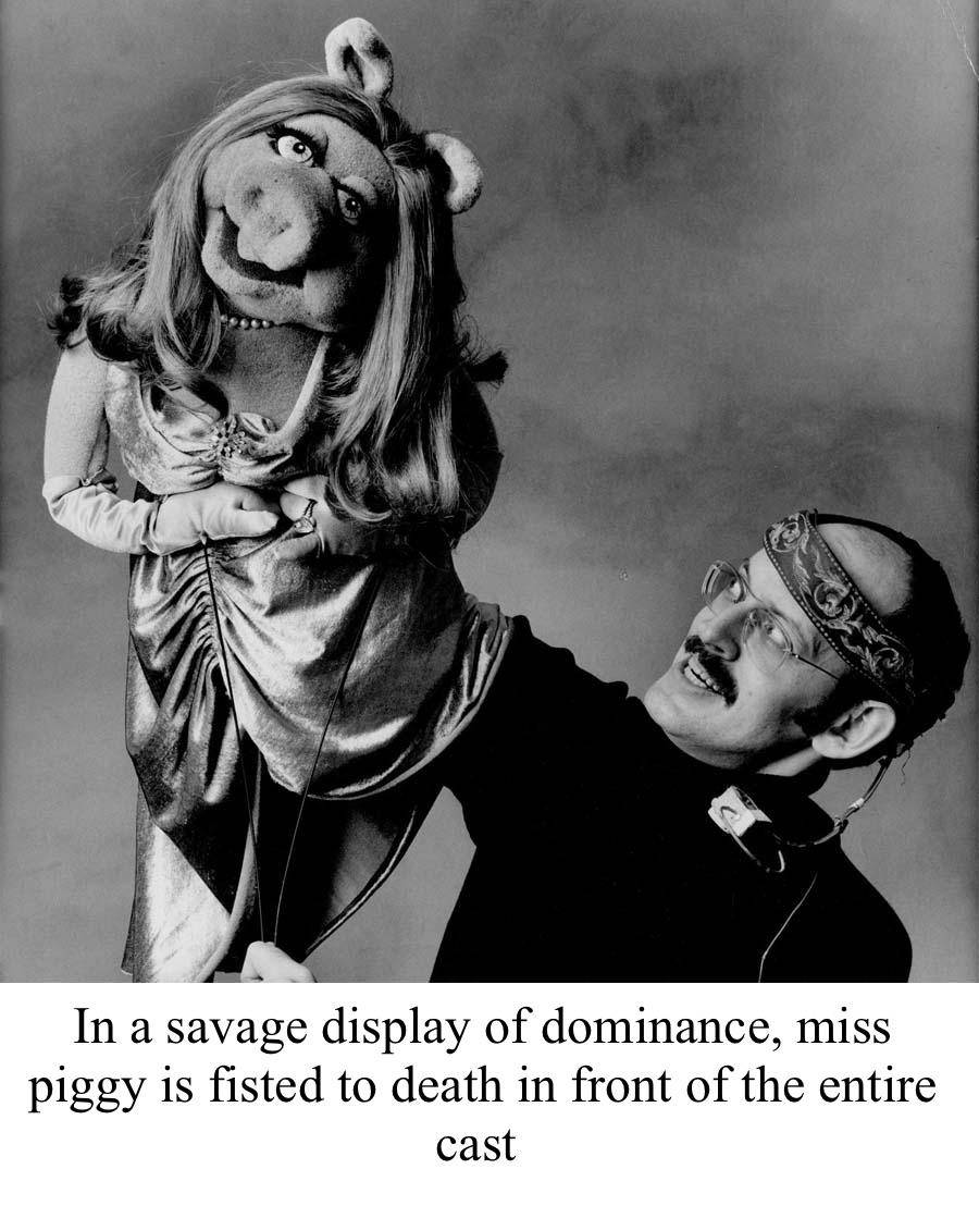 Kermit could only watch | Scrolller