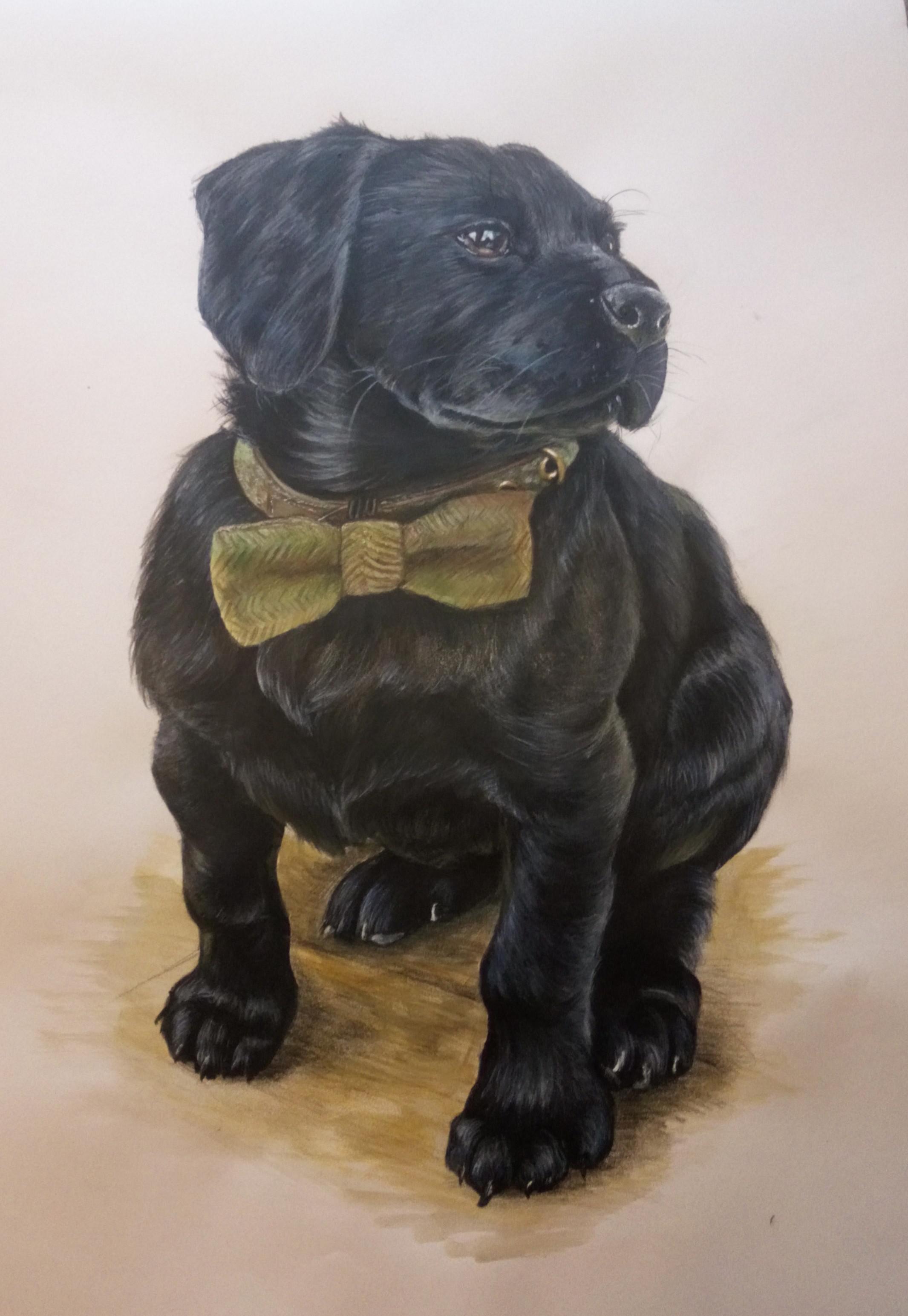 "Kevin", Me, acrylic on paper, 2021 | Scrolller