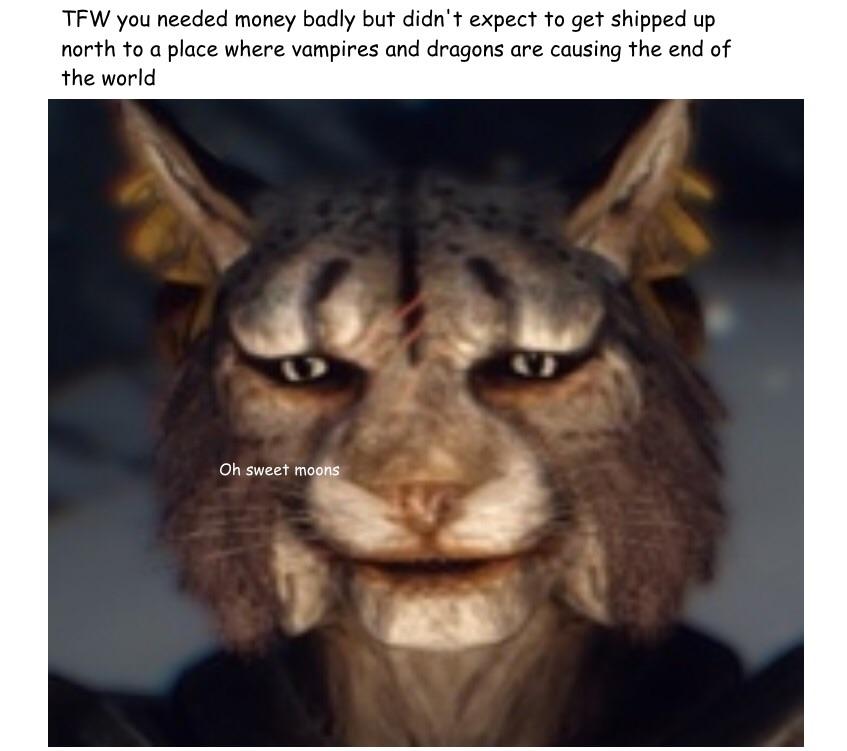 Khajiit😧irl | Scrolller