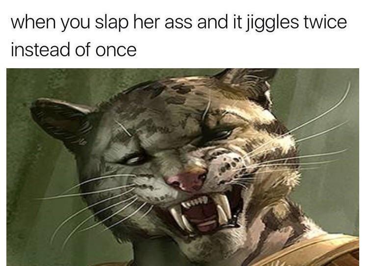 Khajiit🍑👋irl | Scrolller