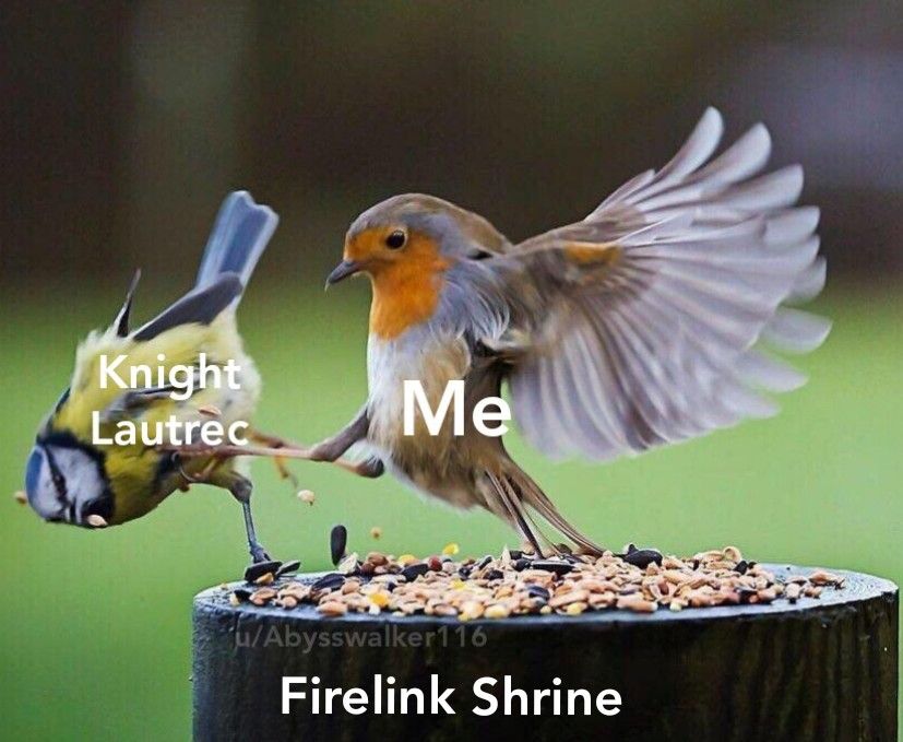 Kick Kick Kick | Scrolller