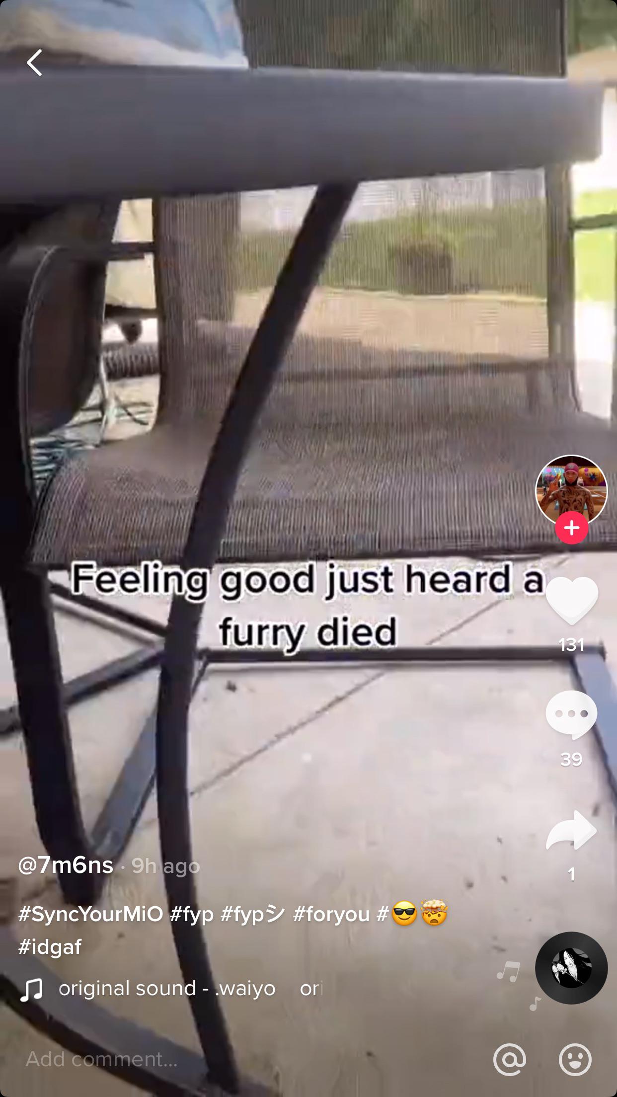 Kid on tiktok makes fun of someone who died just because they are a furry | Scrolller