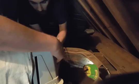 Kidnapped cat is taken out of cage and locked in a an attic hole | Scrolller