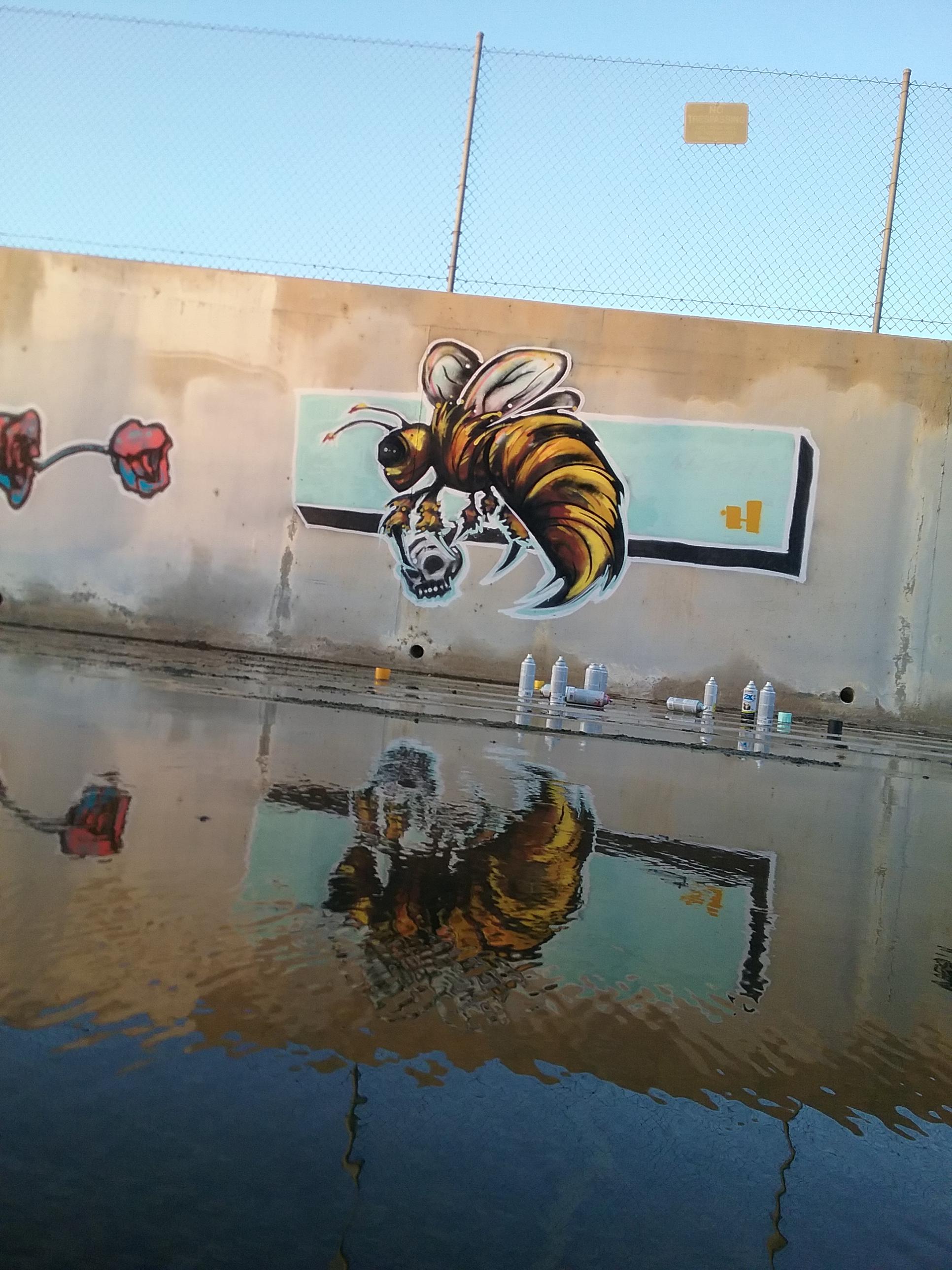 killer bee | Scrolller