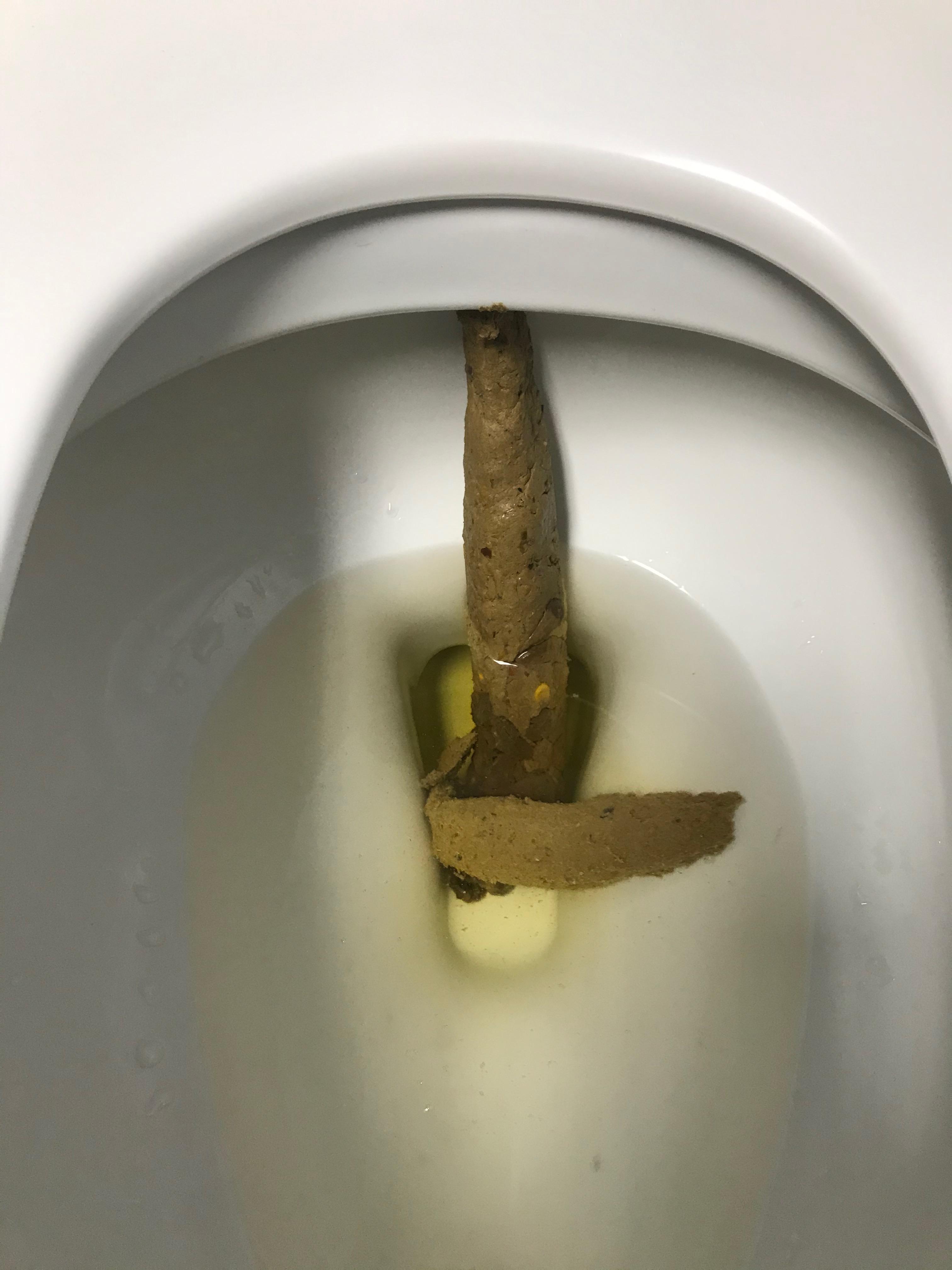 KING POOP | Scrolller