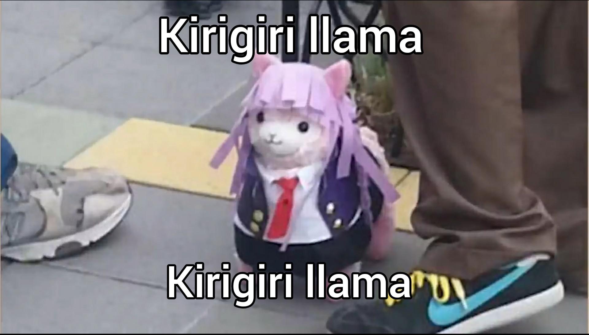 Kirigiri llama | Scrolller