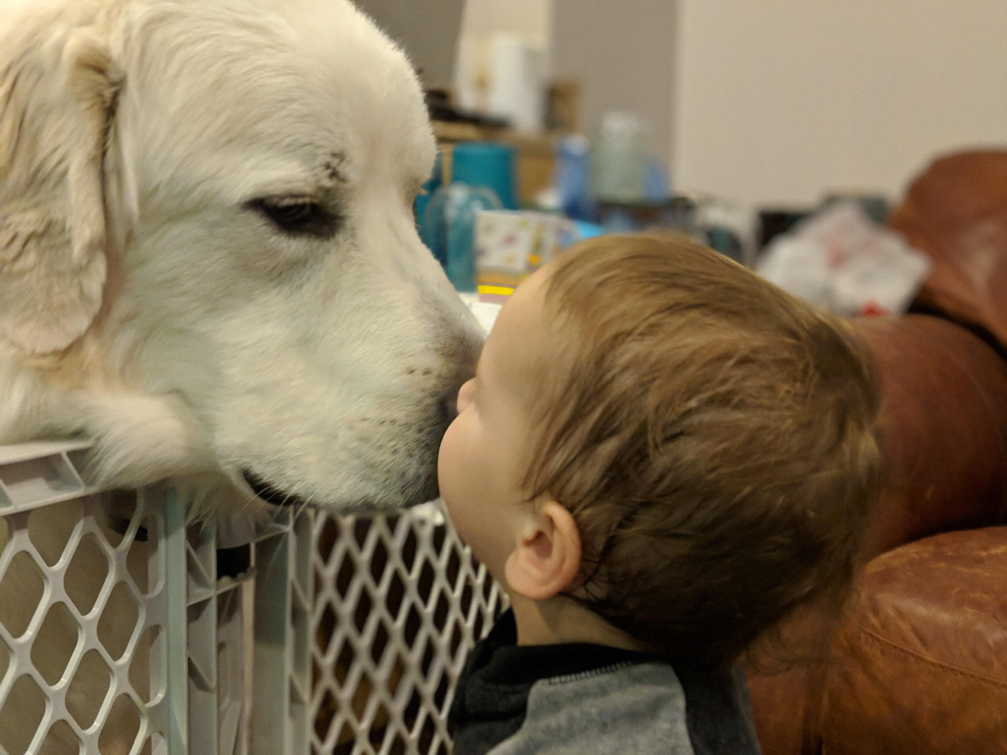 Kisses for the little human | Scrolller