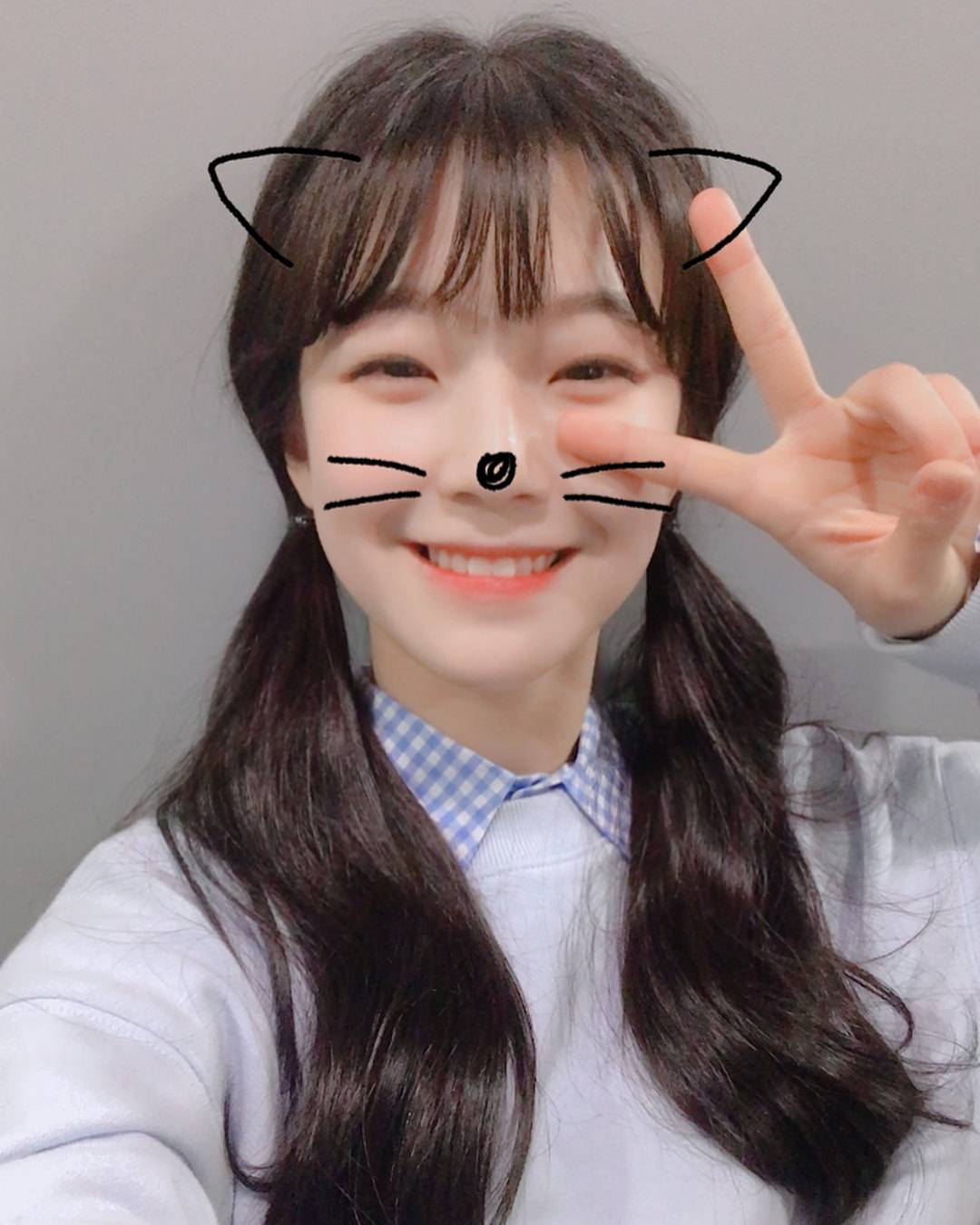 Kitten Jiheon | Scrolller