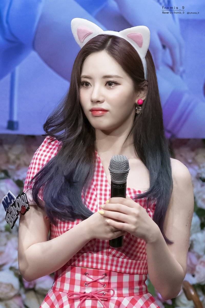 Kitten Jiwon | Scrolller