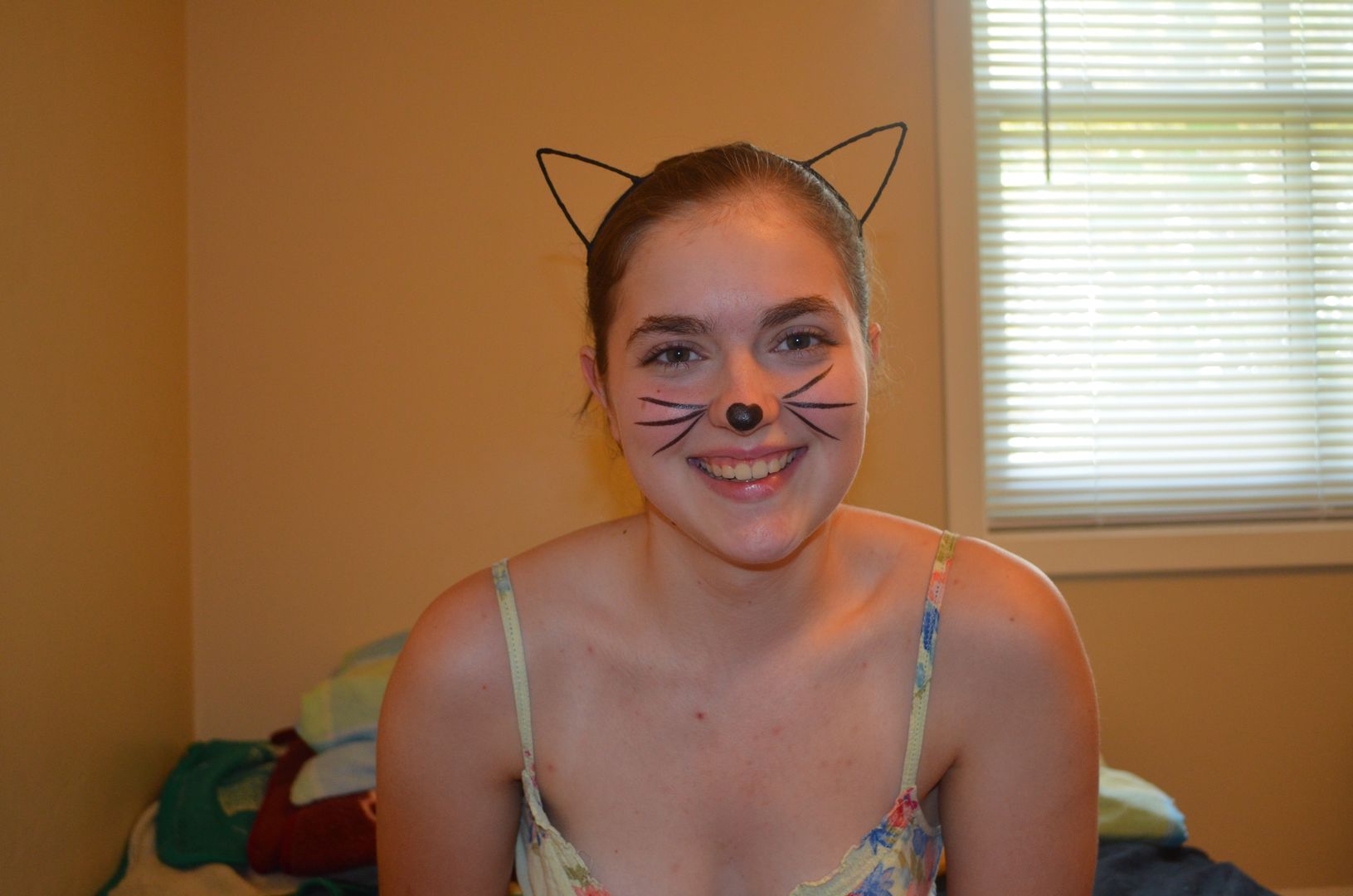 Kitty Cat Abby | Scrolller