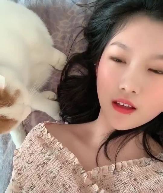 Kitty hugs | Scrolller