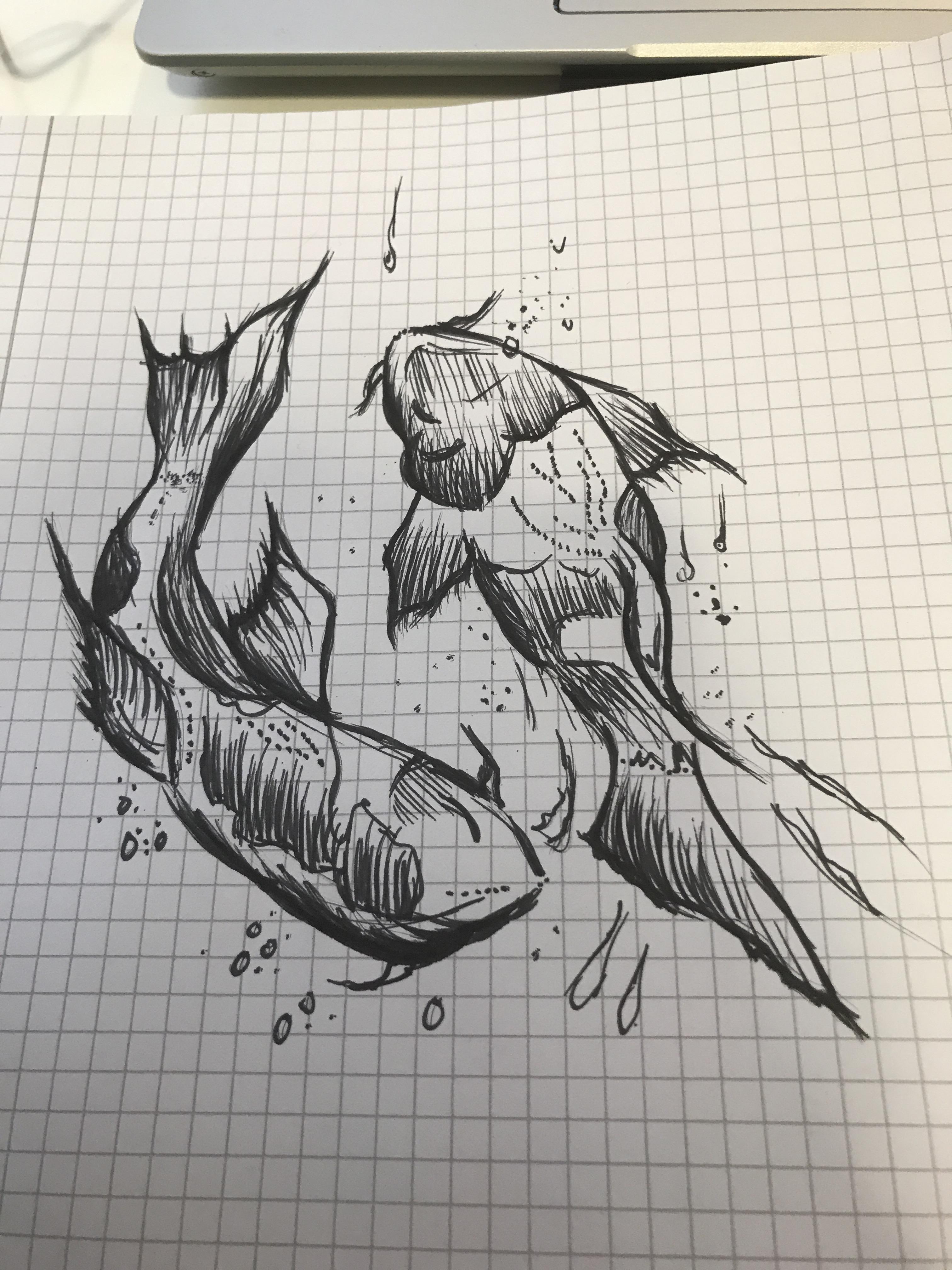 Koi fish | Scrolller