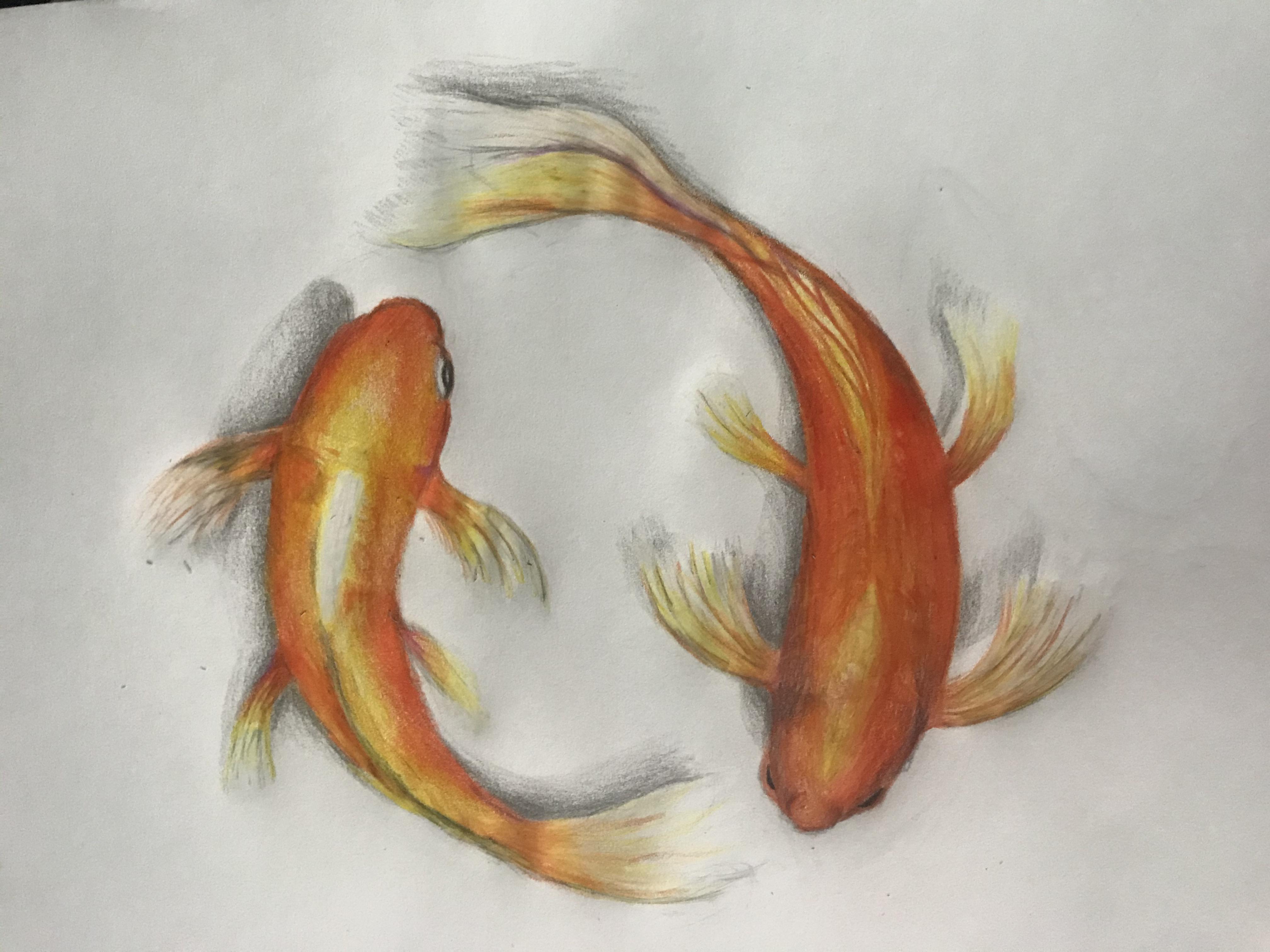 Koi Fish, Me, Crayola Colored Pencils, 2020 | Scrolller