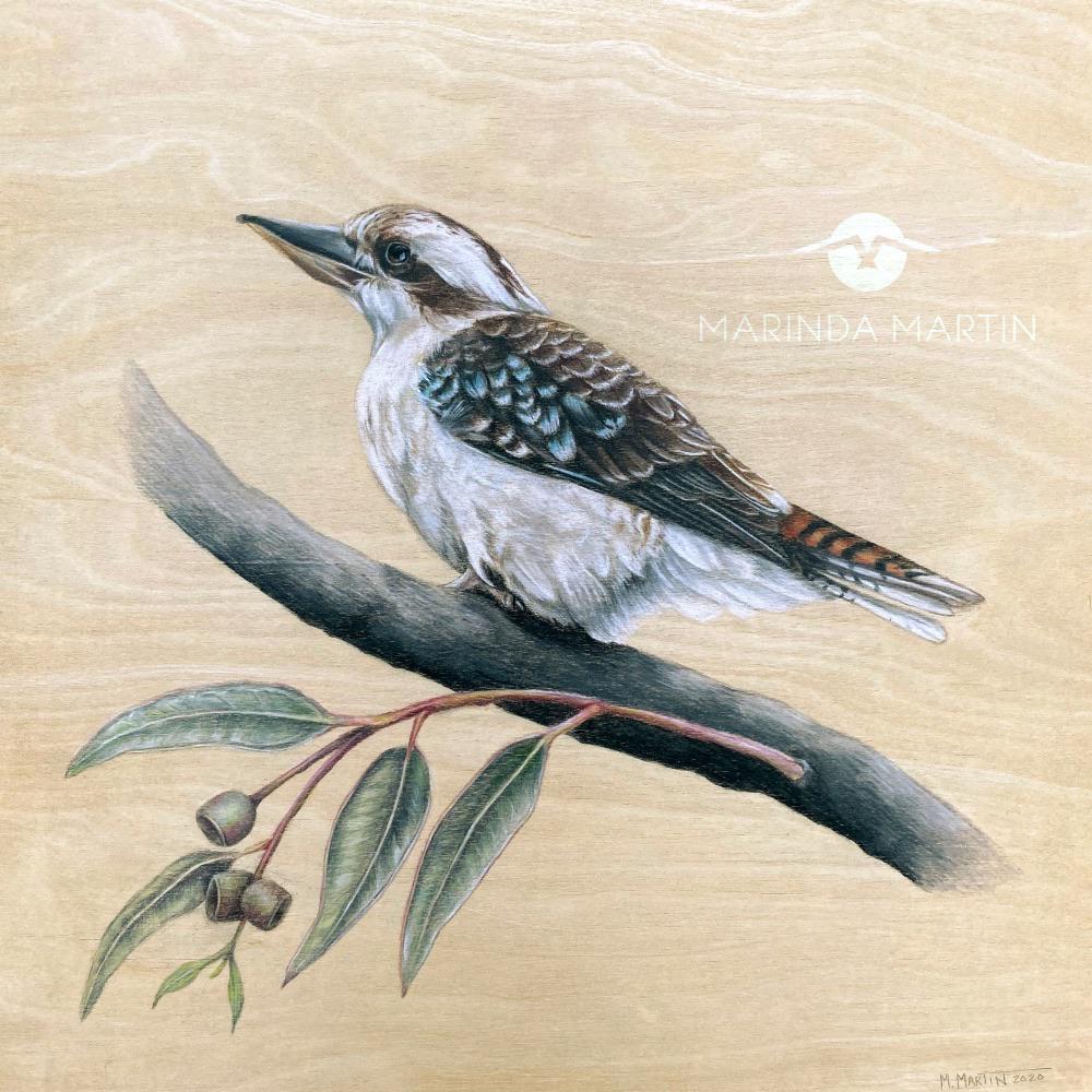 Kookaburra sits in the old gum tree... | Scrolller
