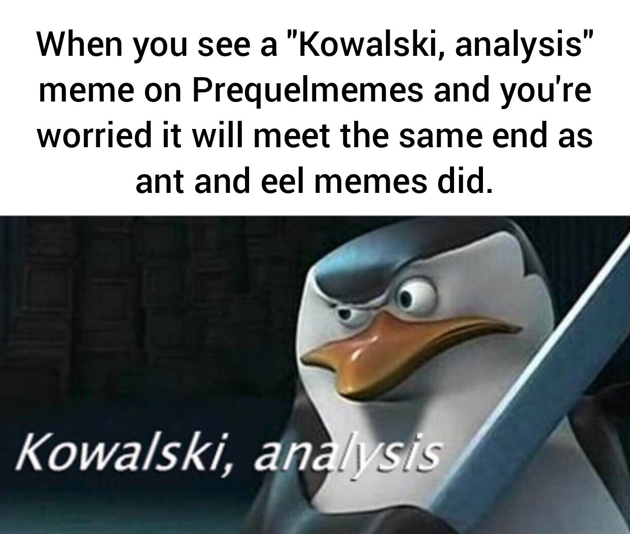 Kowalski! | Scrolller