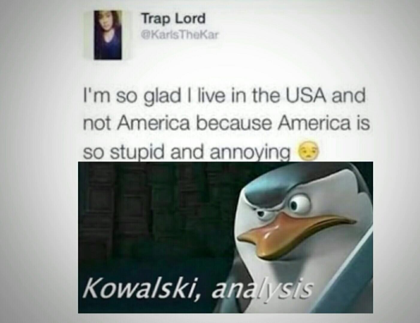 Kowalski we'reis my analysis | Scrolller
