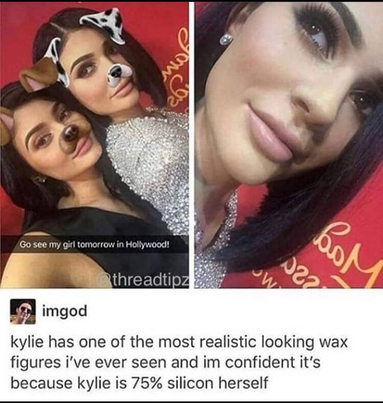 Kylie got triggered | Scrolller