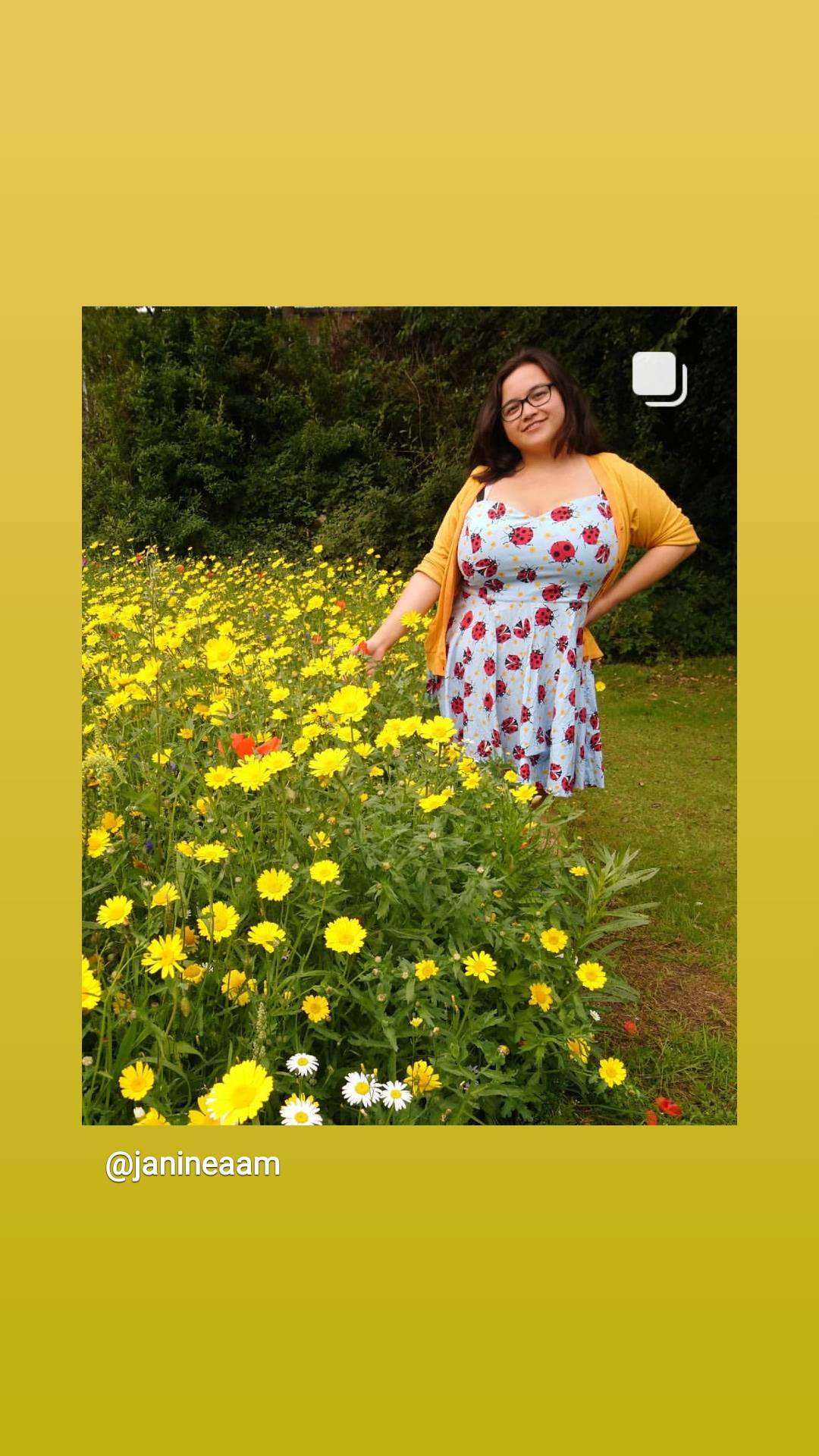 Ladybugs and flowers 2 | Scrolller