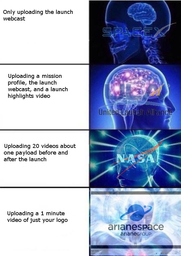 Large Brain | Scrolller