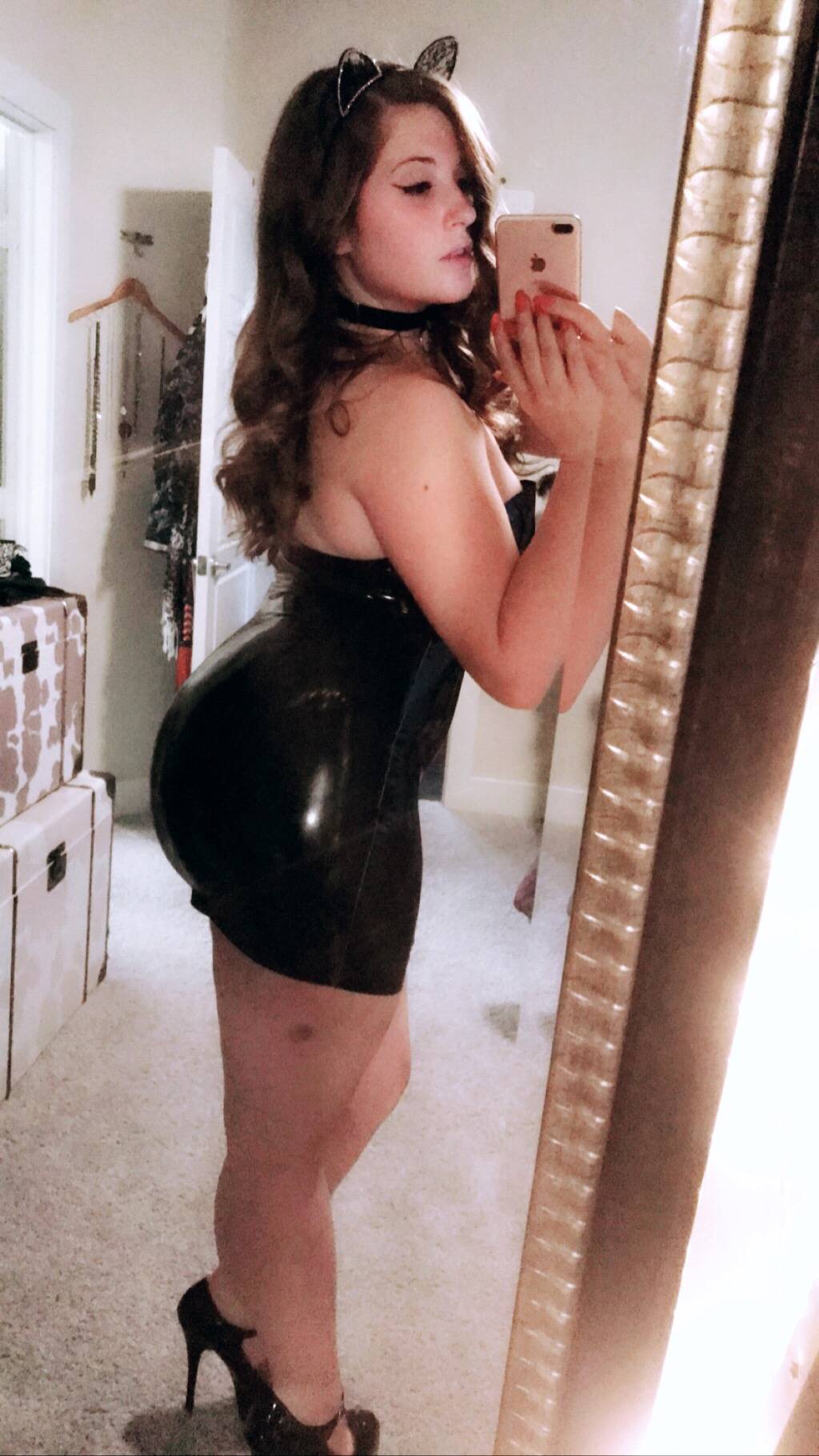 Latex kitten | Scrolller