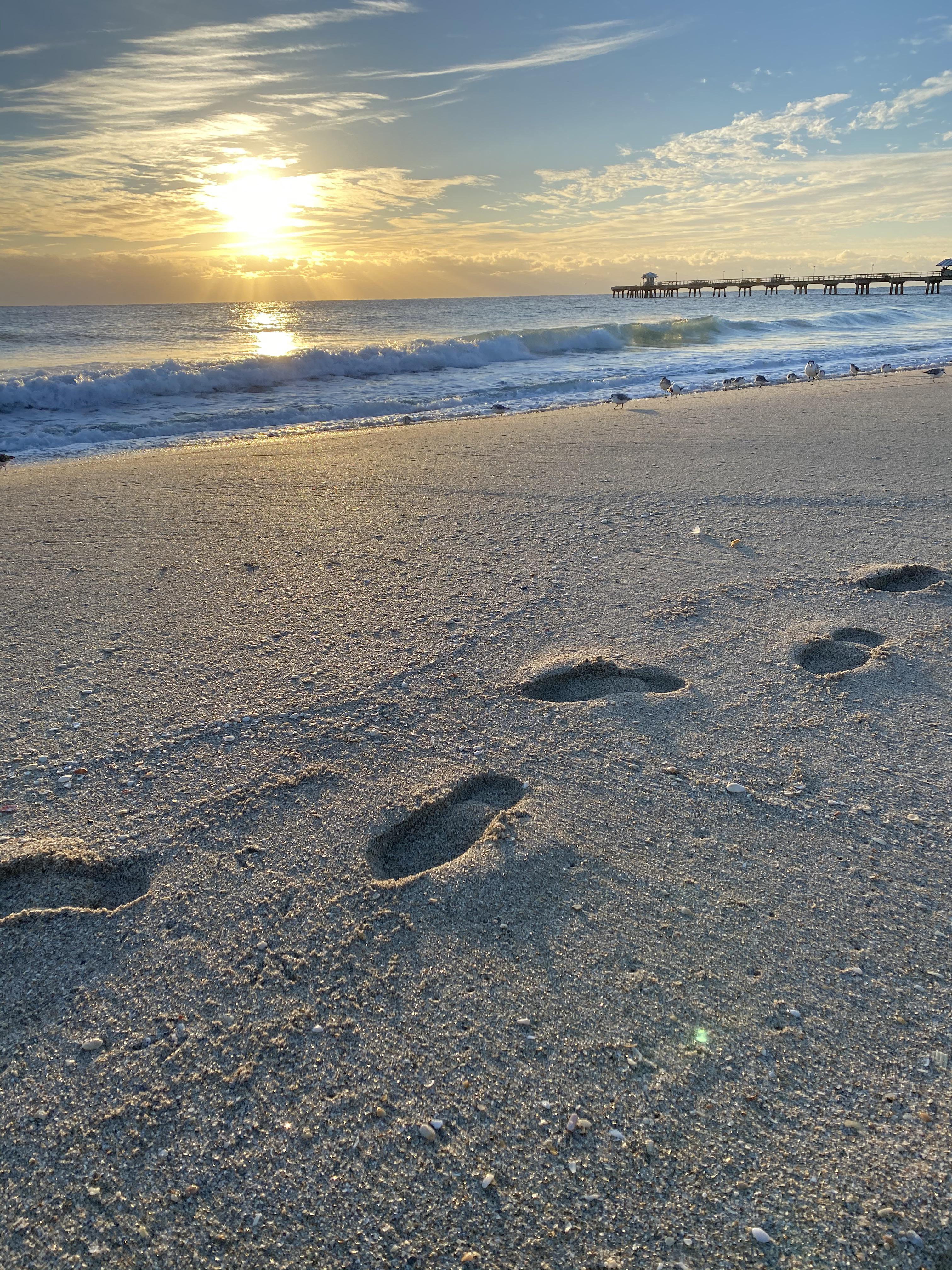 Lauderdale by the sea | Scrolller