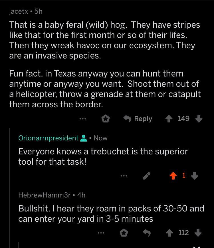 Launching wild hogs | Scrolller