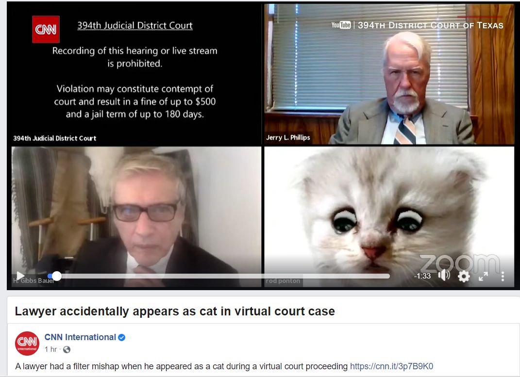 Lawyer accidentally appears as a cat in a virtual court case | Scrolller