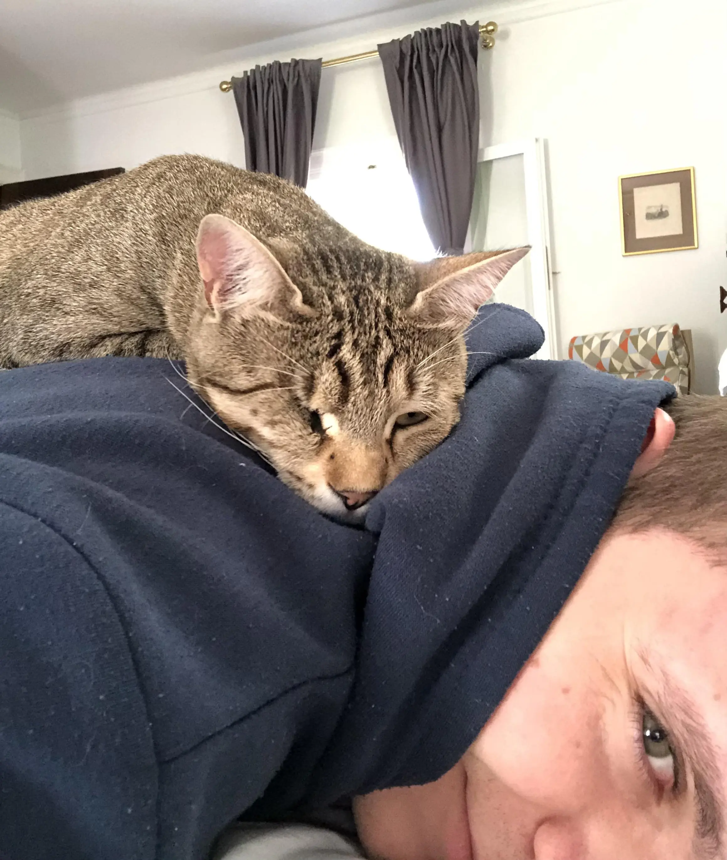 Lazy Afternoon Scrolller