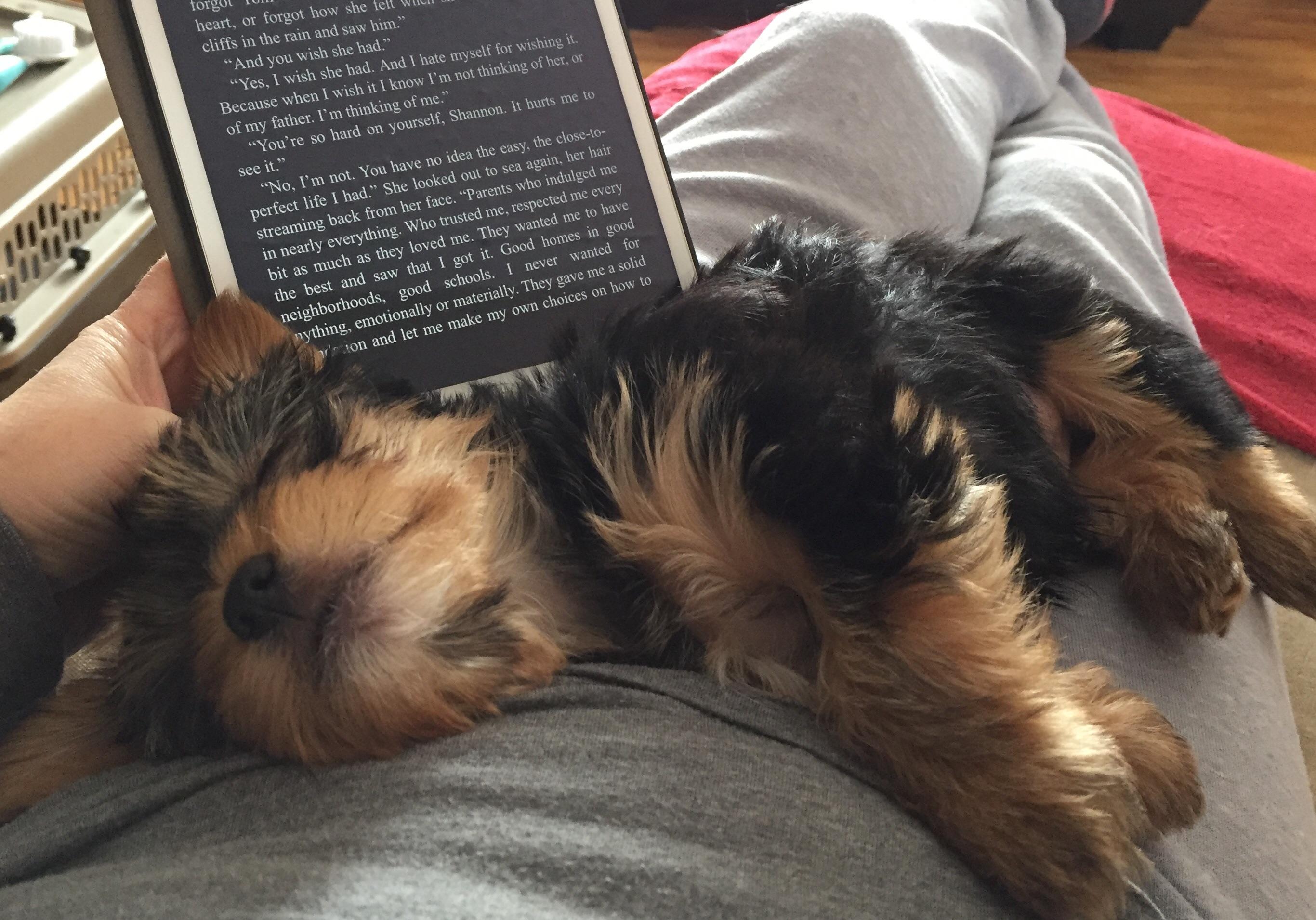 Lazy Saturdays | Scrolller