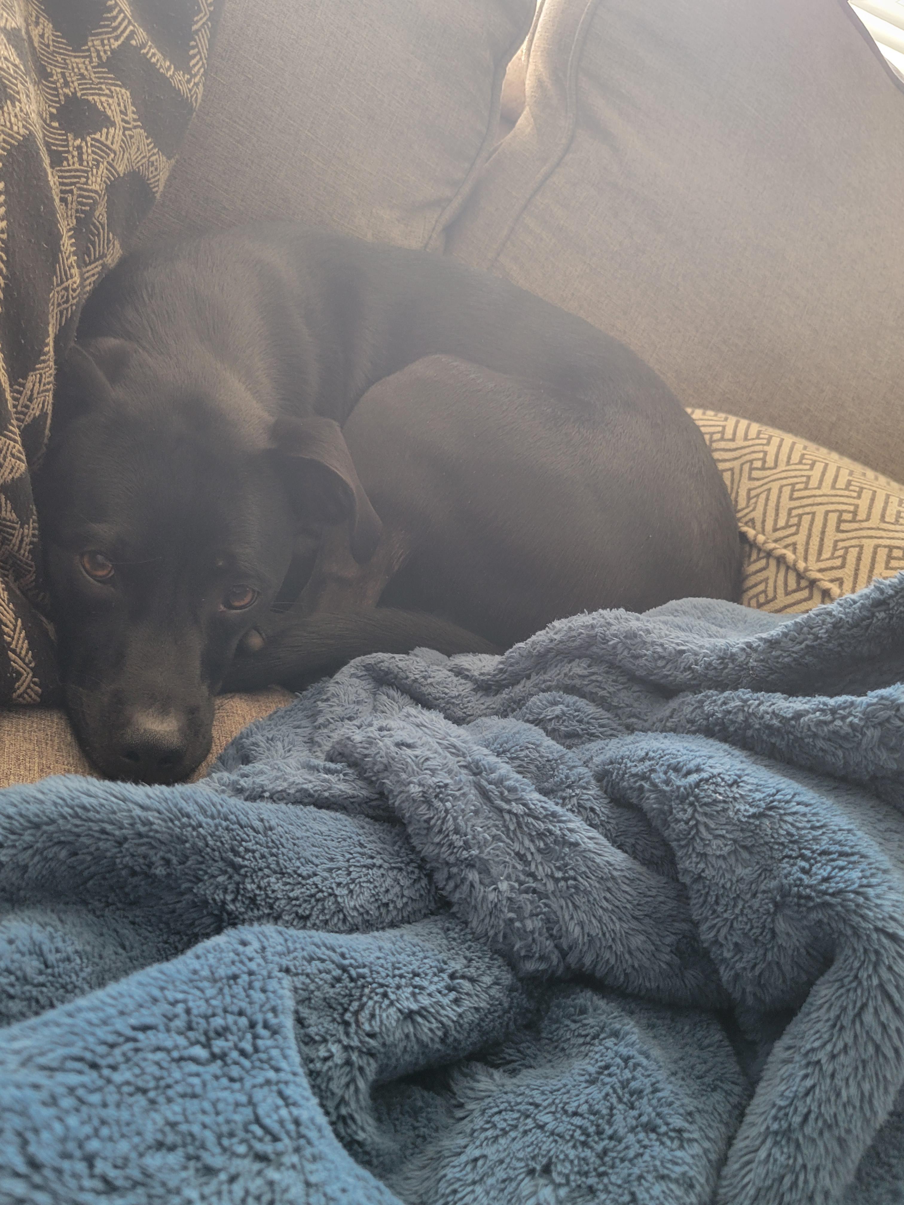 Lazy Sunday | Scrolller