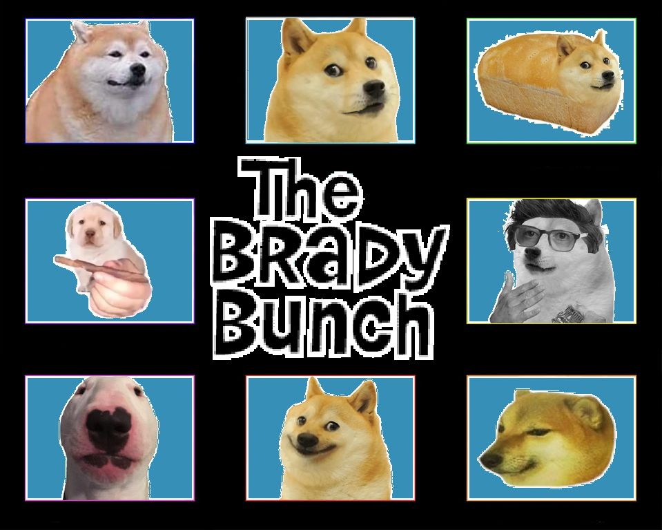 le bunch has arrived | Scrolller