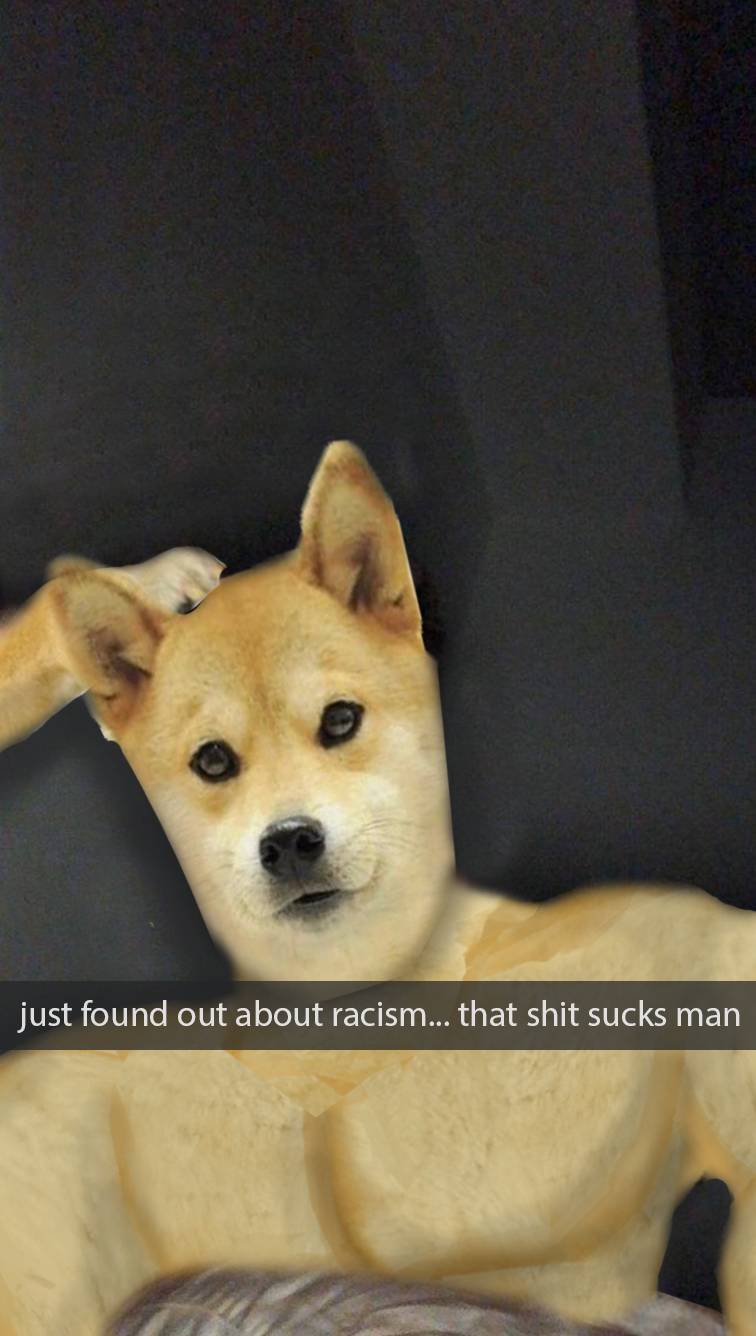 Le chad doge | Scrolller