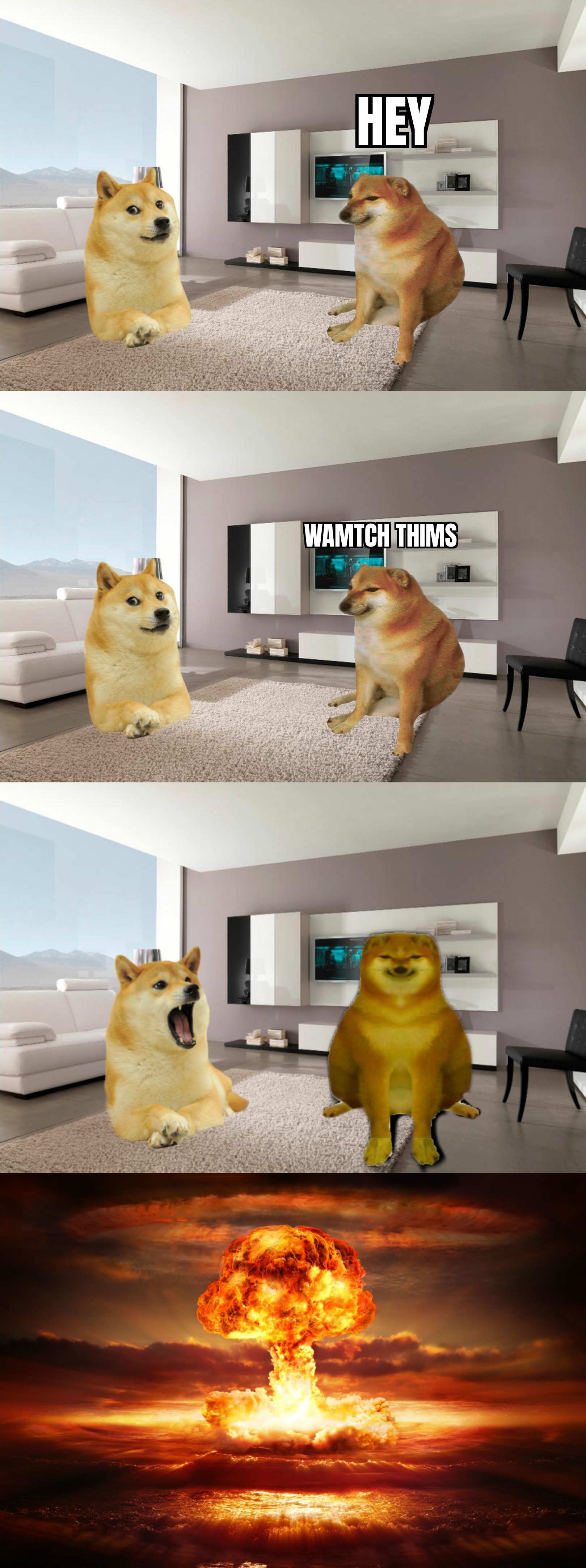 Le front facing cheems has arrived | Scrolller