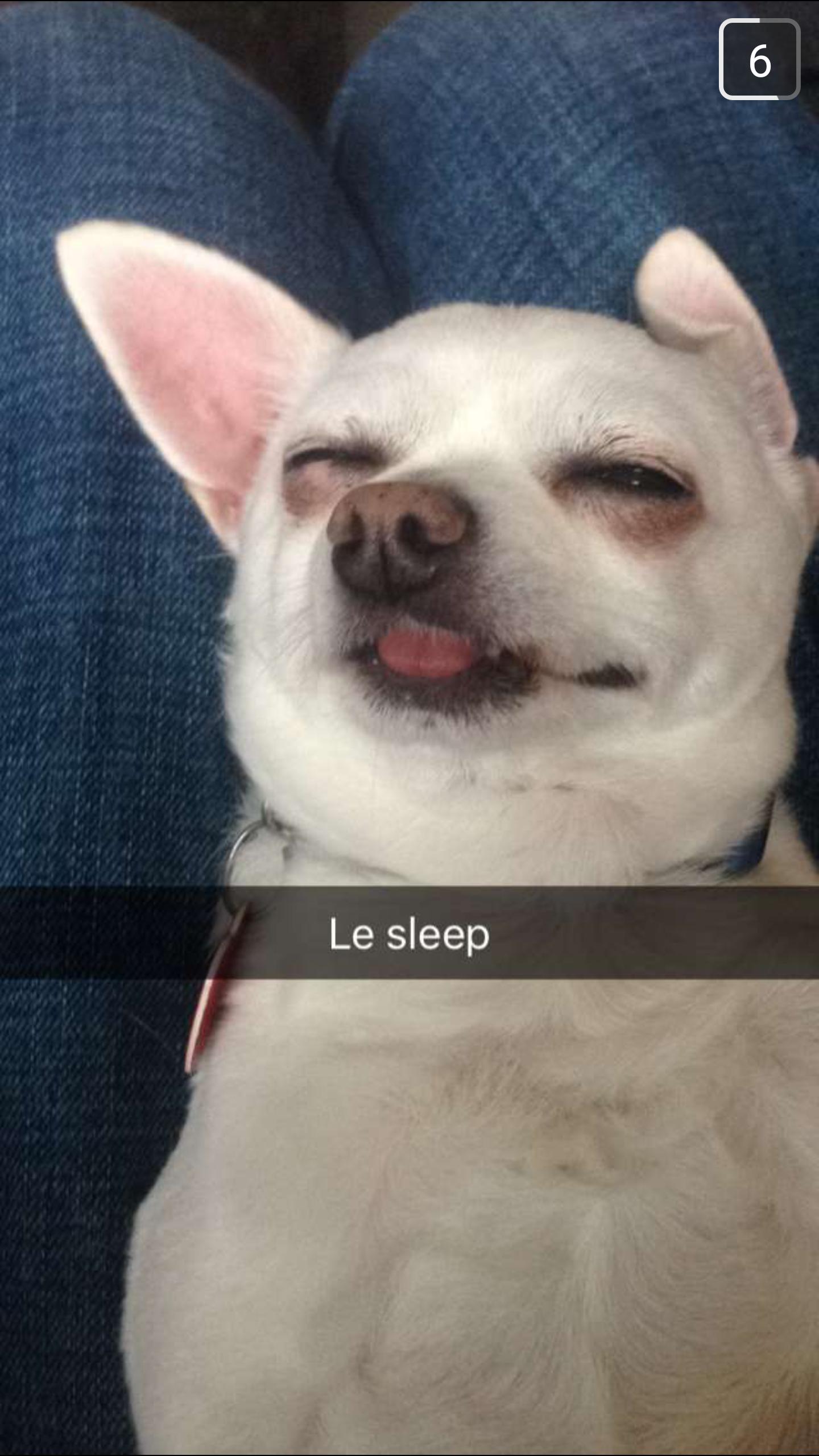 Le sleep | Scrolller