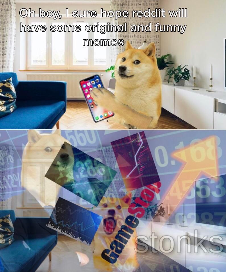 Le stonks have arrived | Scrolller